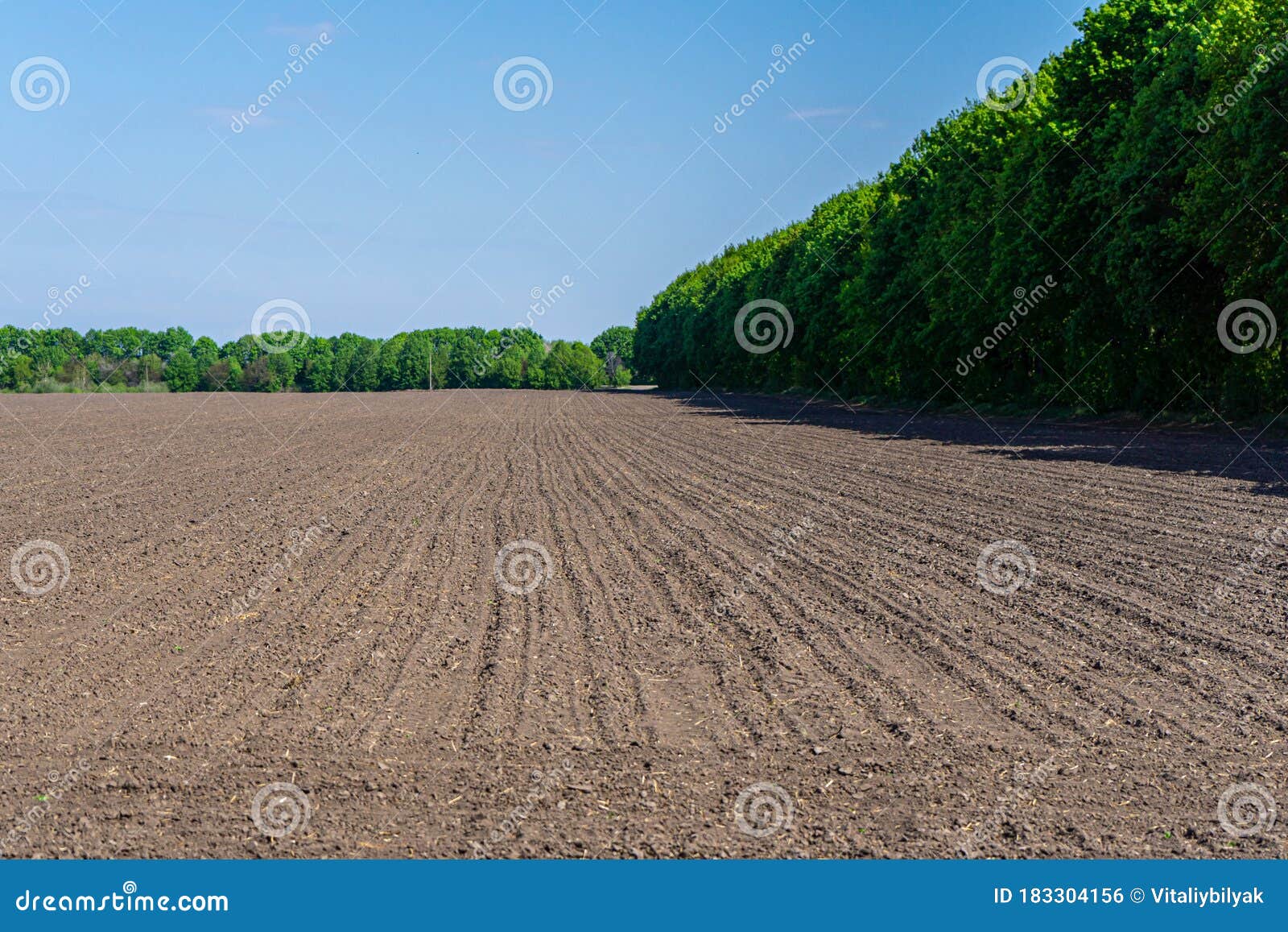 Cultivated field stock photo. Image of rural, ploughed - 183304156