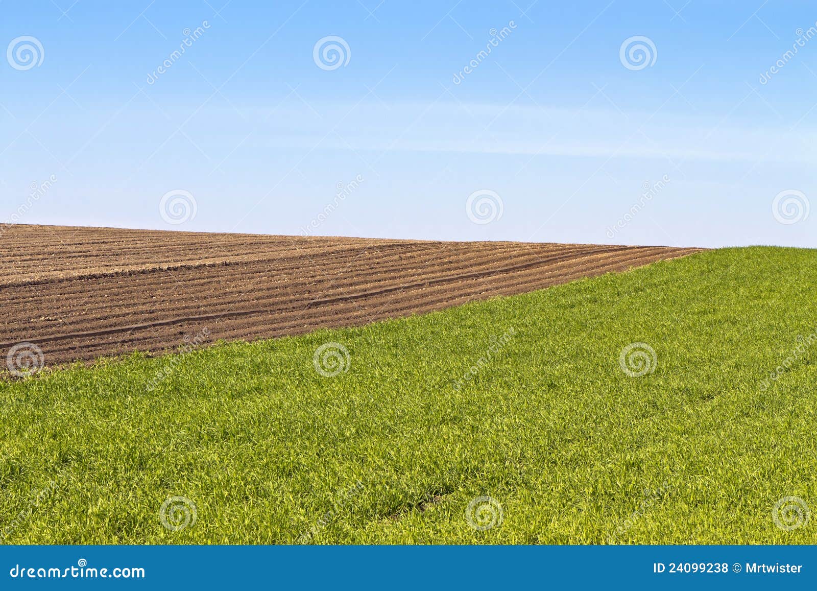 Cultivated land stock photo. Image of crop, field, grow - 24099238