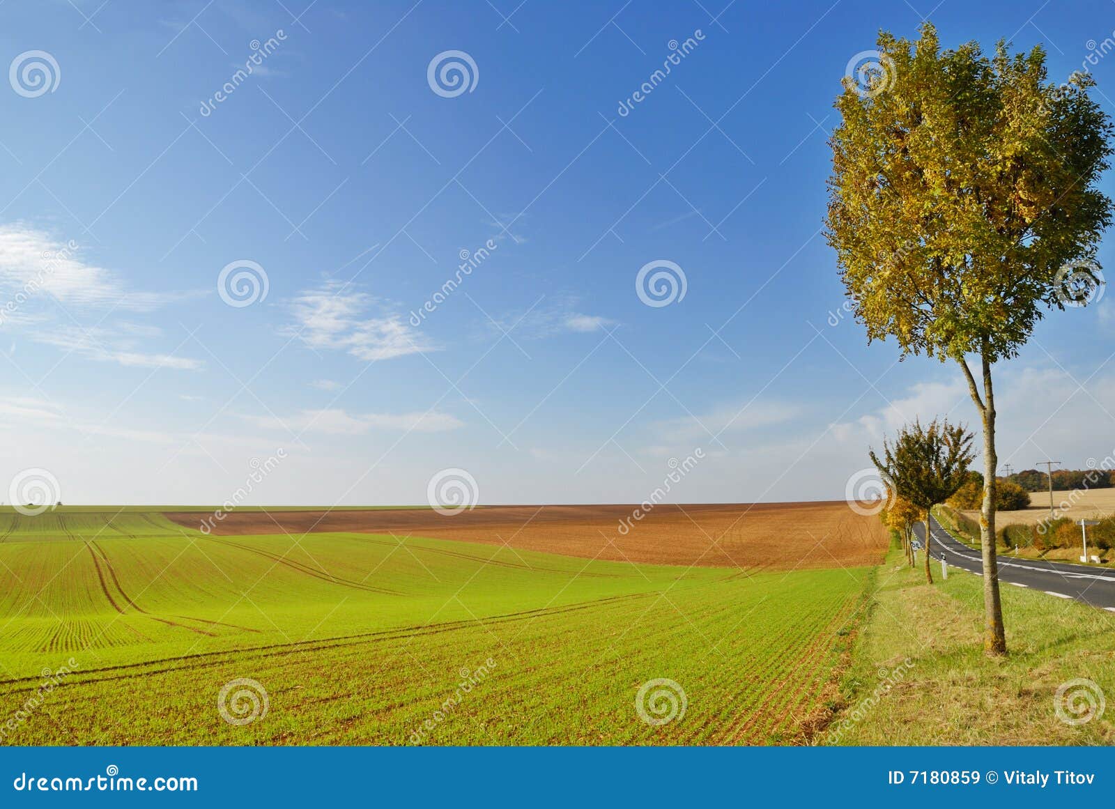 Cultivated land stock image. Image of growth, plant, landscape - 7180859