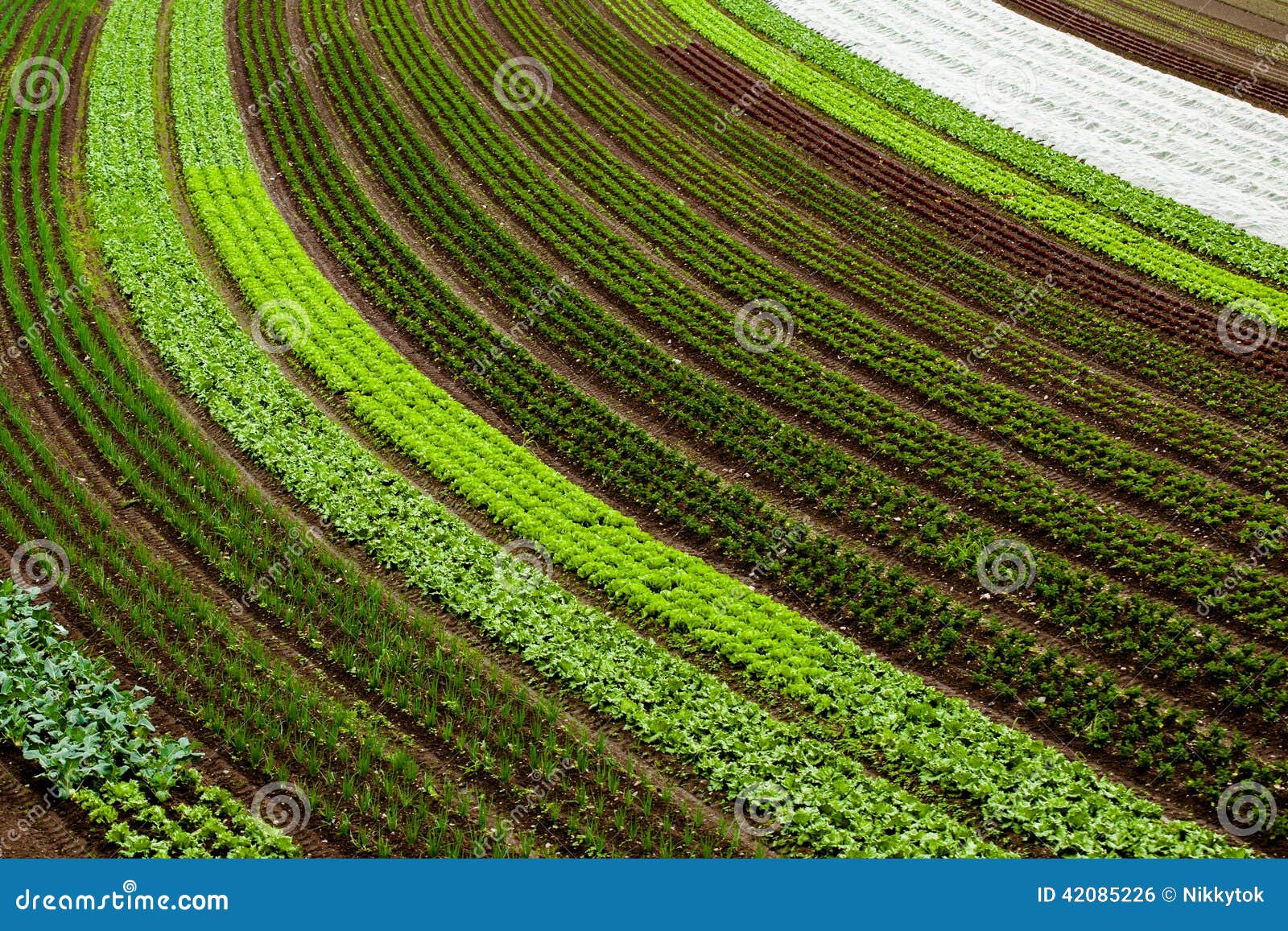 Cultivated Land Ground Piles Of Soil Stock Photography | CartoonDealer ...