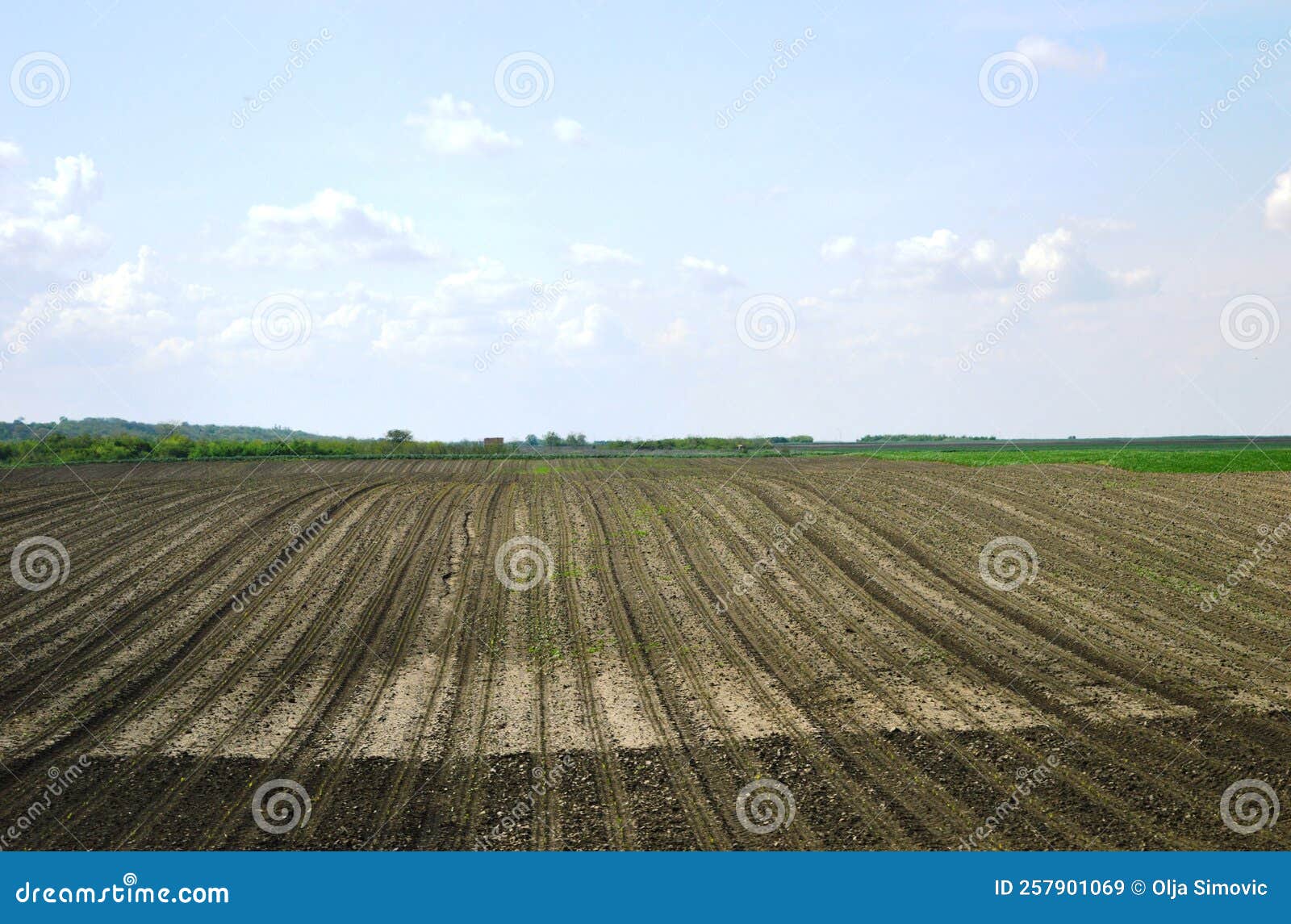 Cultivated Land in the Plain Stock Image - Image of grass, cultivated ...