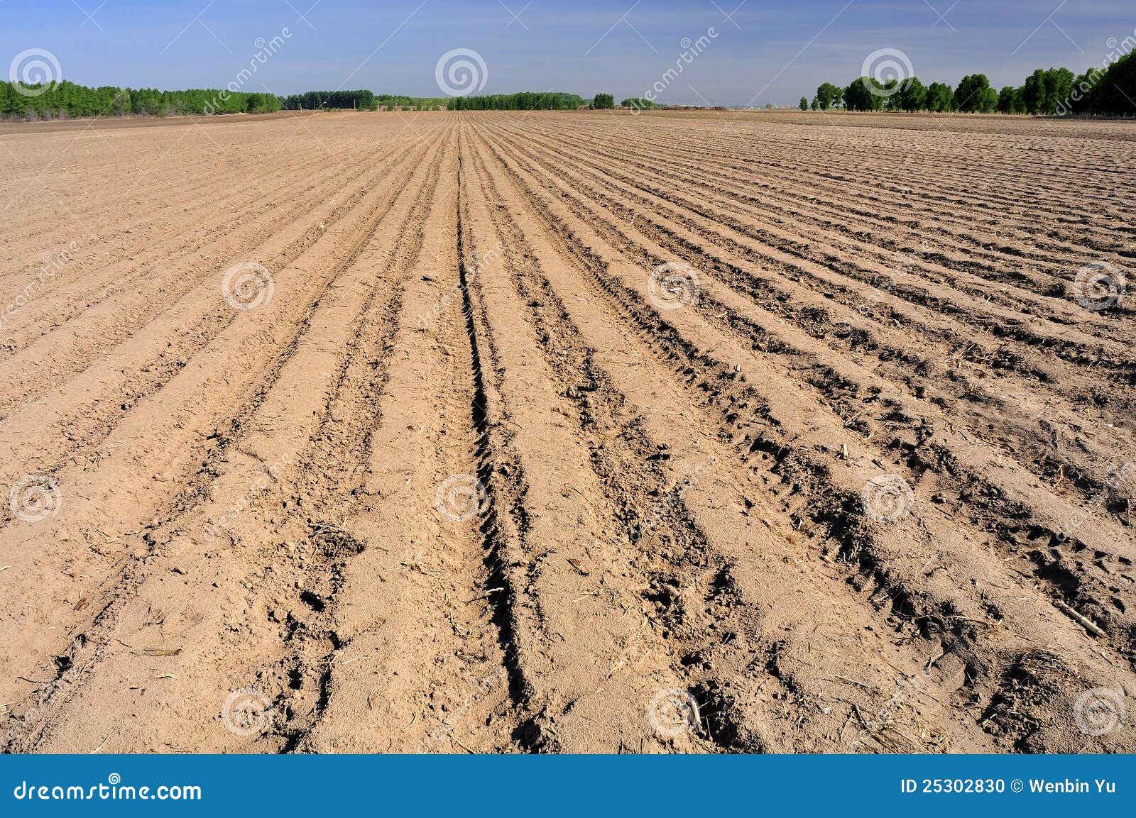 Cultivated Land and Ridges Sets Stock Photo - Image of neat, farmers ...
