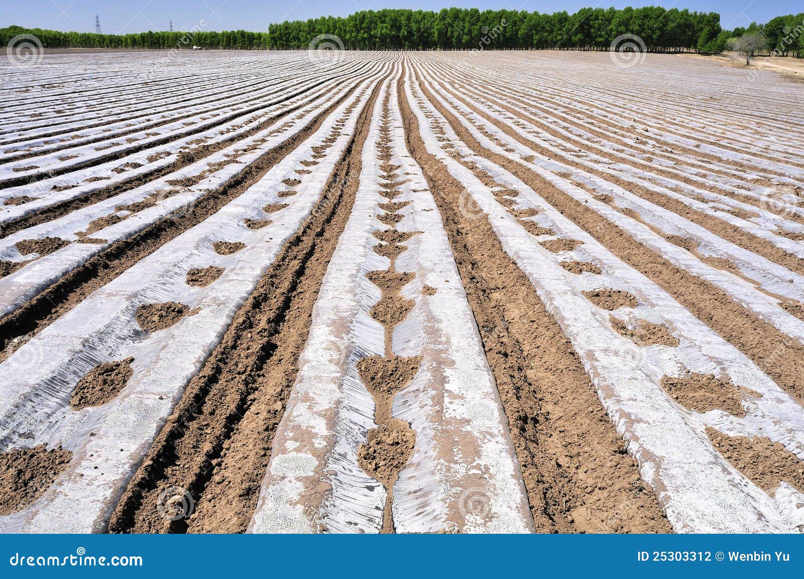 Cultivated Land and Ridges Sets Stock Photo - Image of crop ...