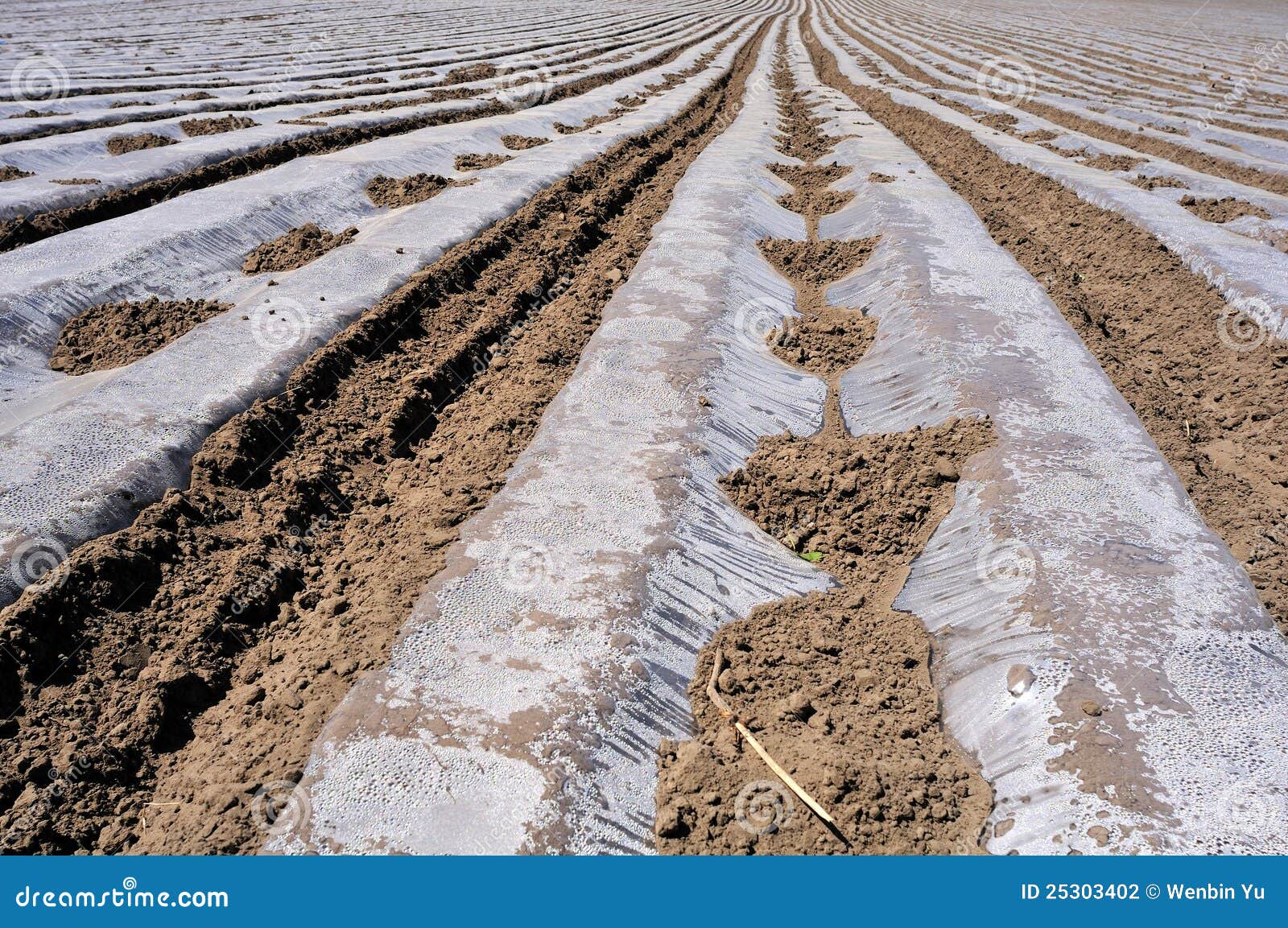 Cultivated Land and Ridges Sets Stock Photo - Image of environment ...