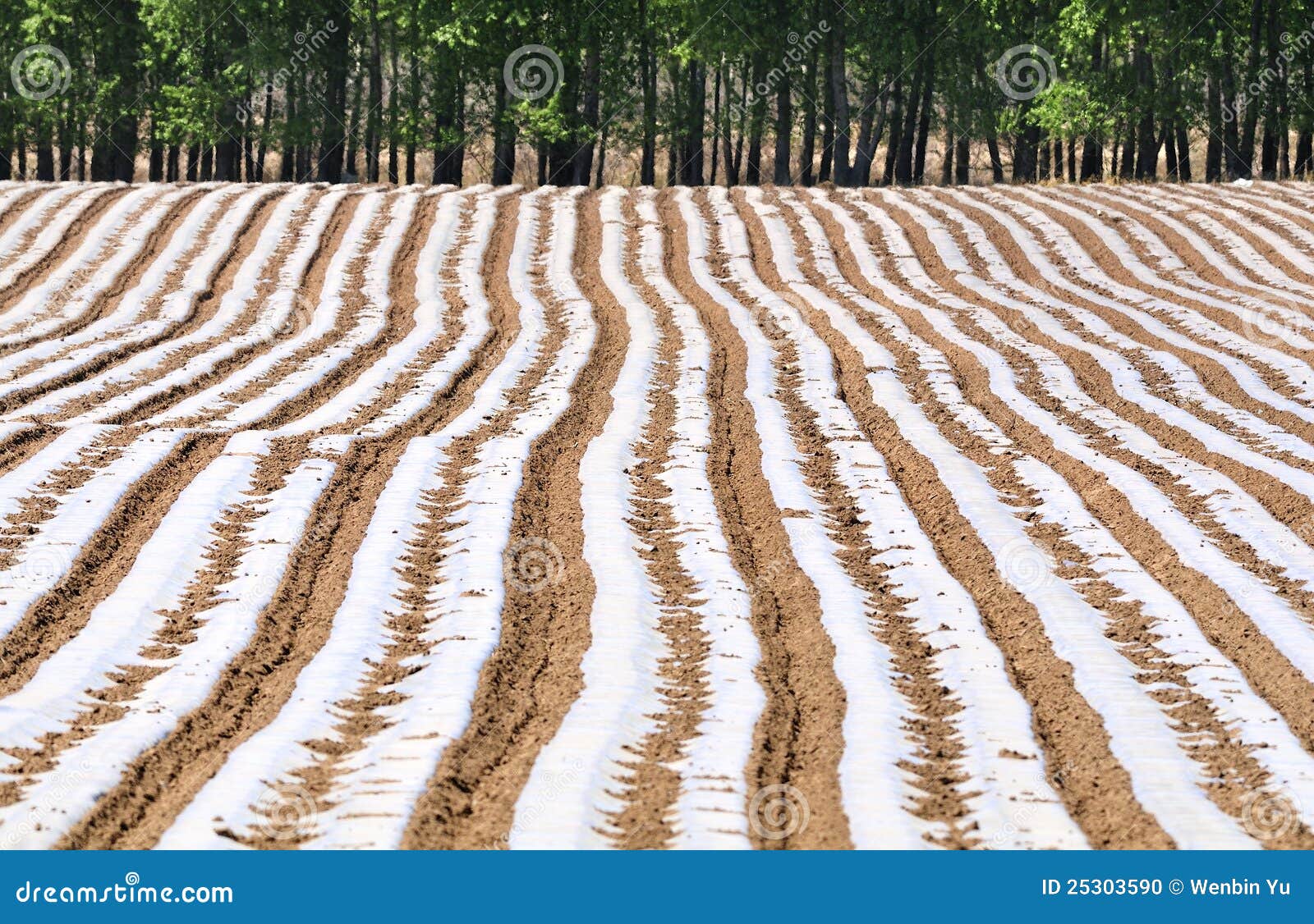 Cultivated Land and Ridges Sets Stock Photo - Image of agriculture ...