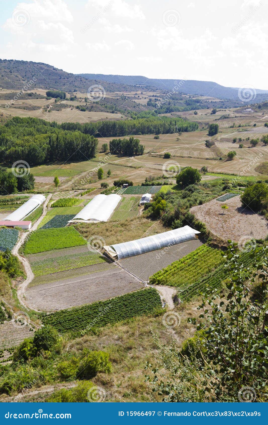 Cultivated Land in a Rural Landscape Stock Image - Image of meadow ...