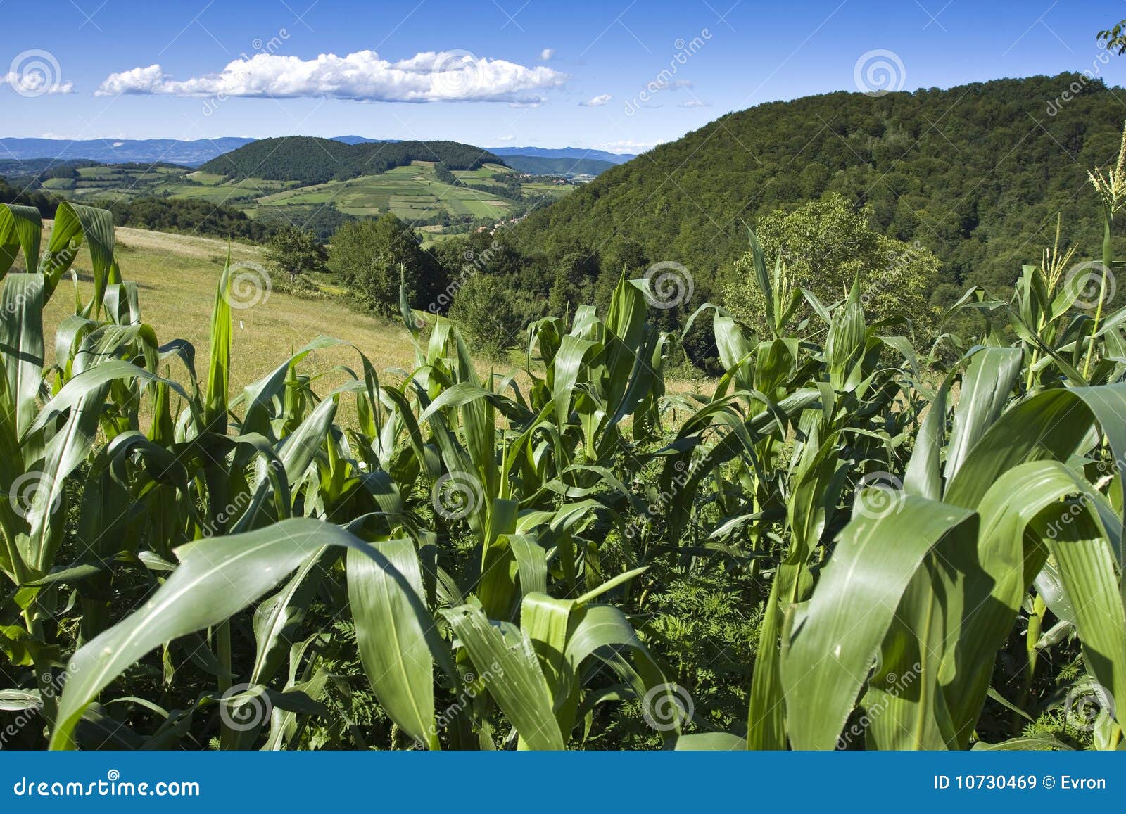 Cultivated Land on Top of Manjaca Mountain Stock Image - Image of ...