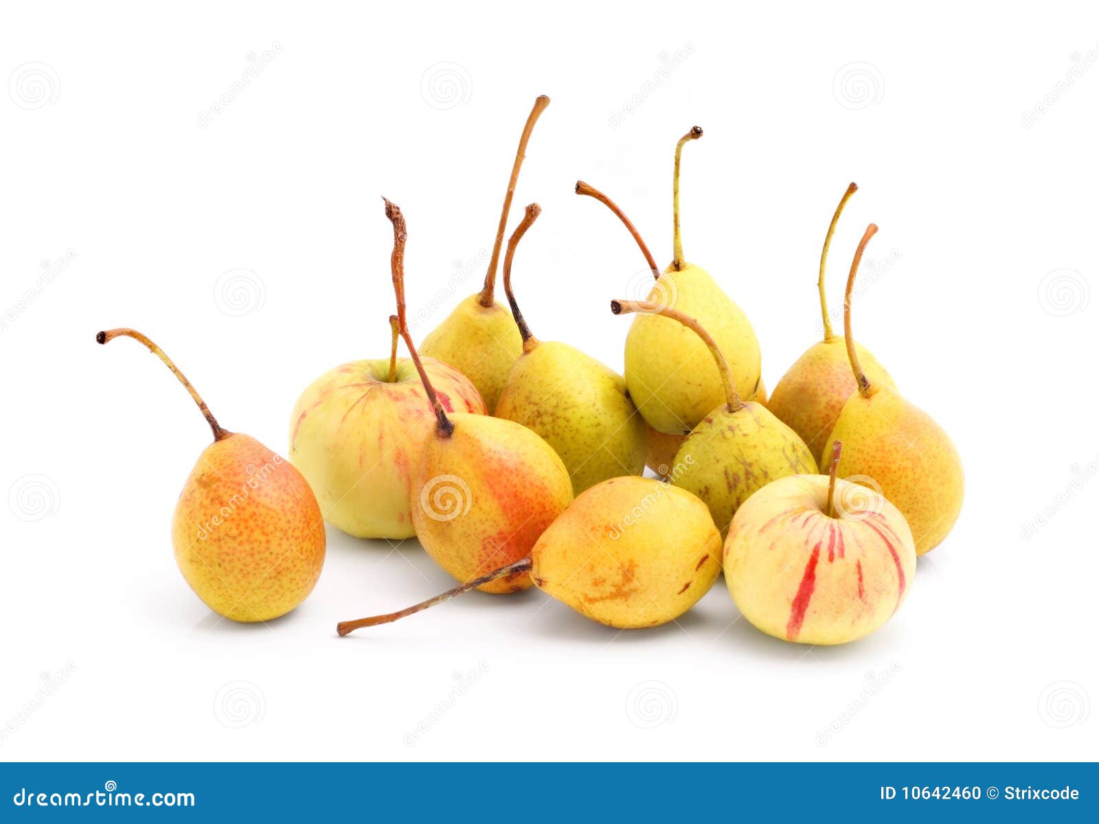 Cultivated Pears and Apples Stock Photo - Image of green, freshness ...