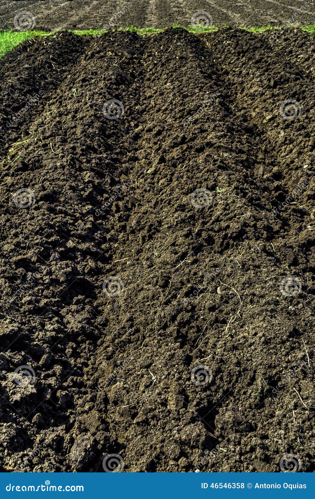 Cultivated Plots stock photo. Image of horizontal, cultivation - 46546358