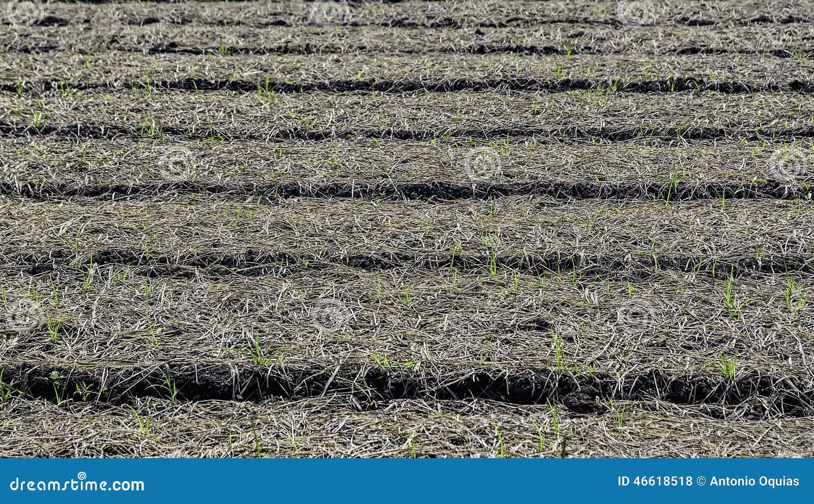 Cultivated Plots stock photo. Image of prepare, farm - 46618518