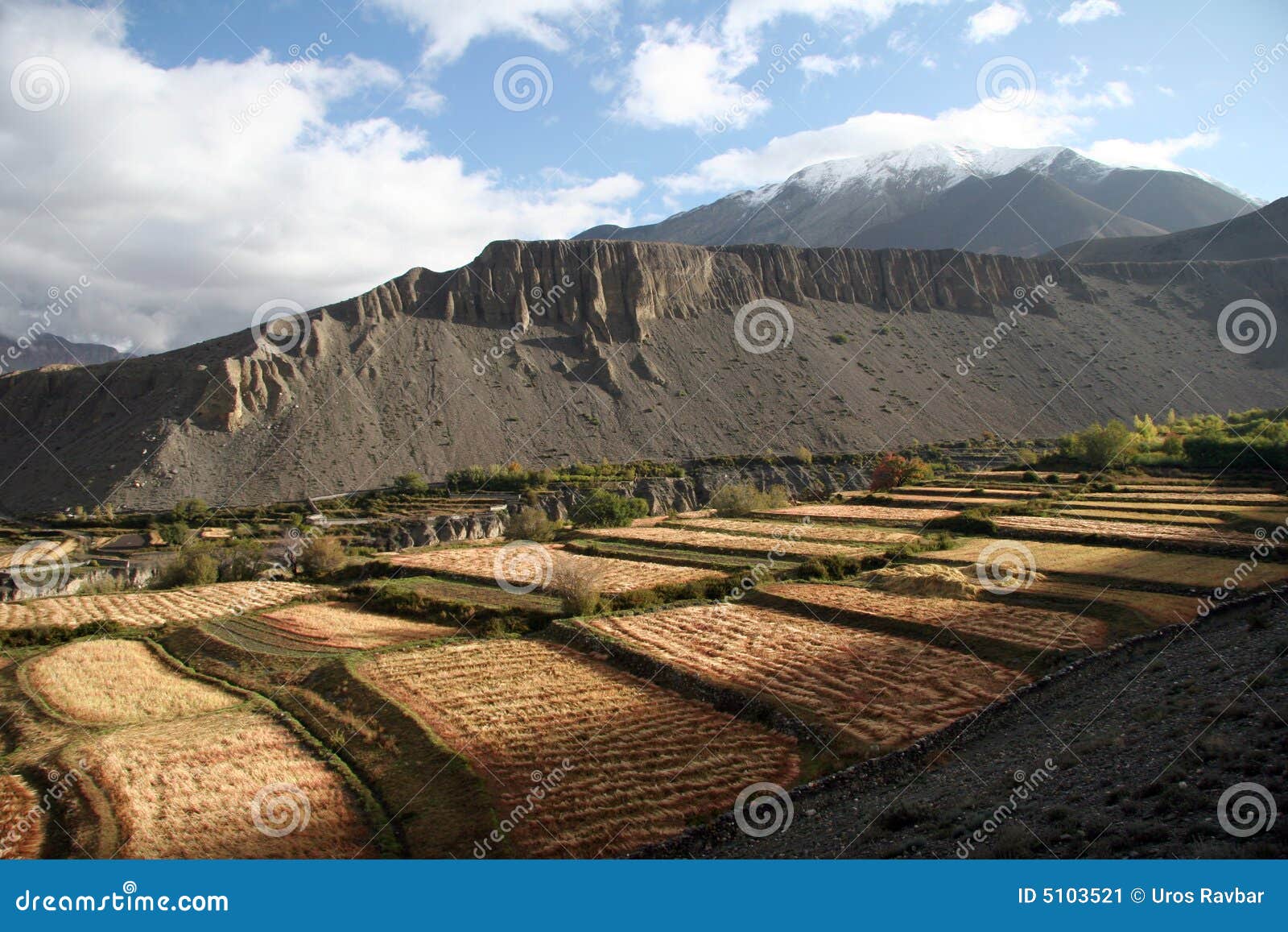 Cultivated terraced fields stock image. Image of majestic - 5103521