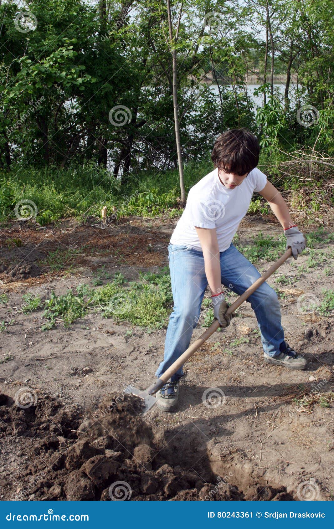 Cultivating garden stock image. Image of yard, village - 80243361