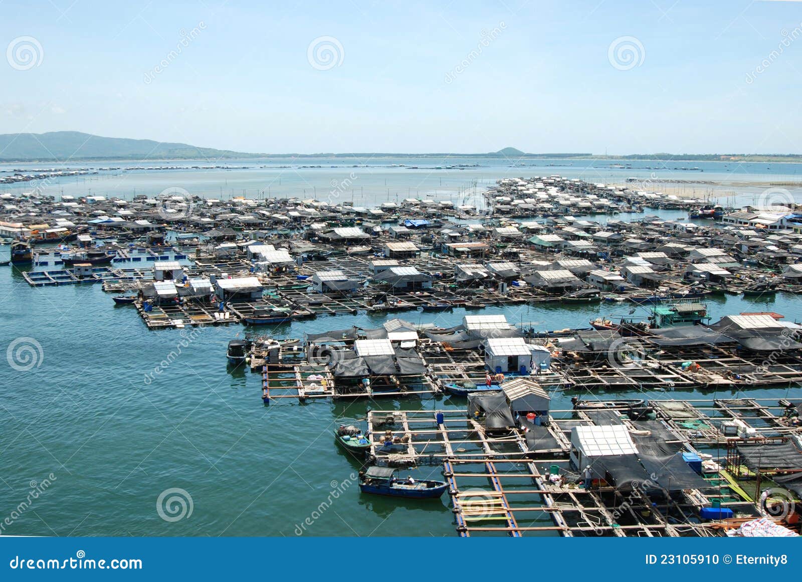 Cultivation and Breeding of Fish and Shellfish Stock Photo - Image of ...