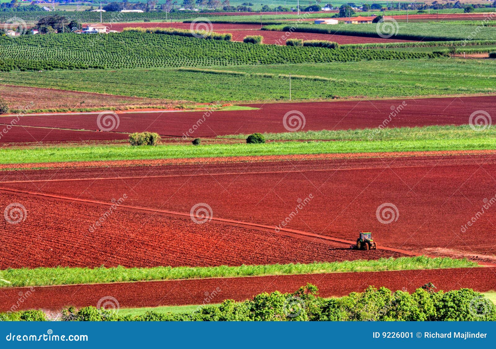 Cultivo de la tierra roja imagen de archivo. Imagen de campo - 9226001
