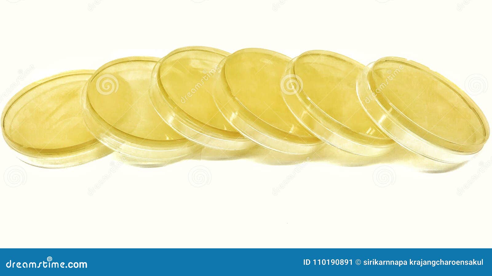 Culture stock image. Image of culture, media, used, liquid - 110190891