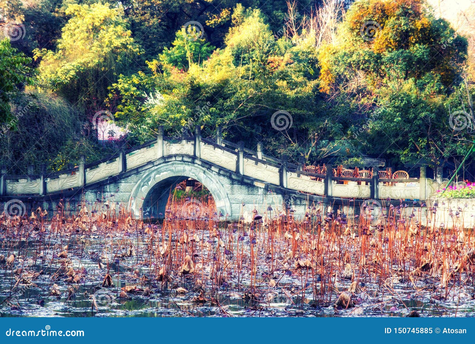 Culture Park, Chengdu, China Stock Image - Image of public, asian ...