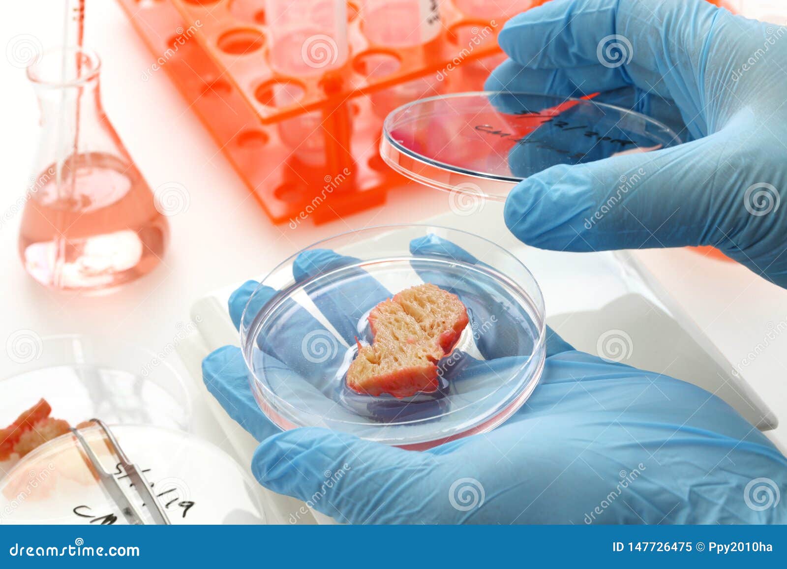 Cultured meat making image stock image. Image of food - 147726475 Cultured meat making image stock image. Image of food - 147726475