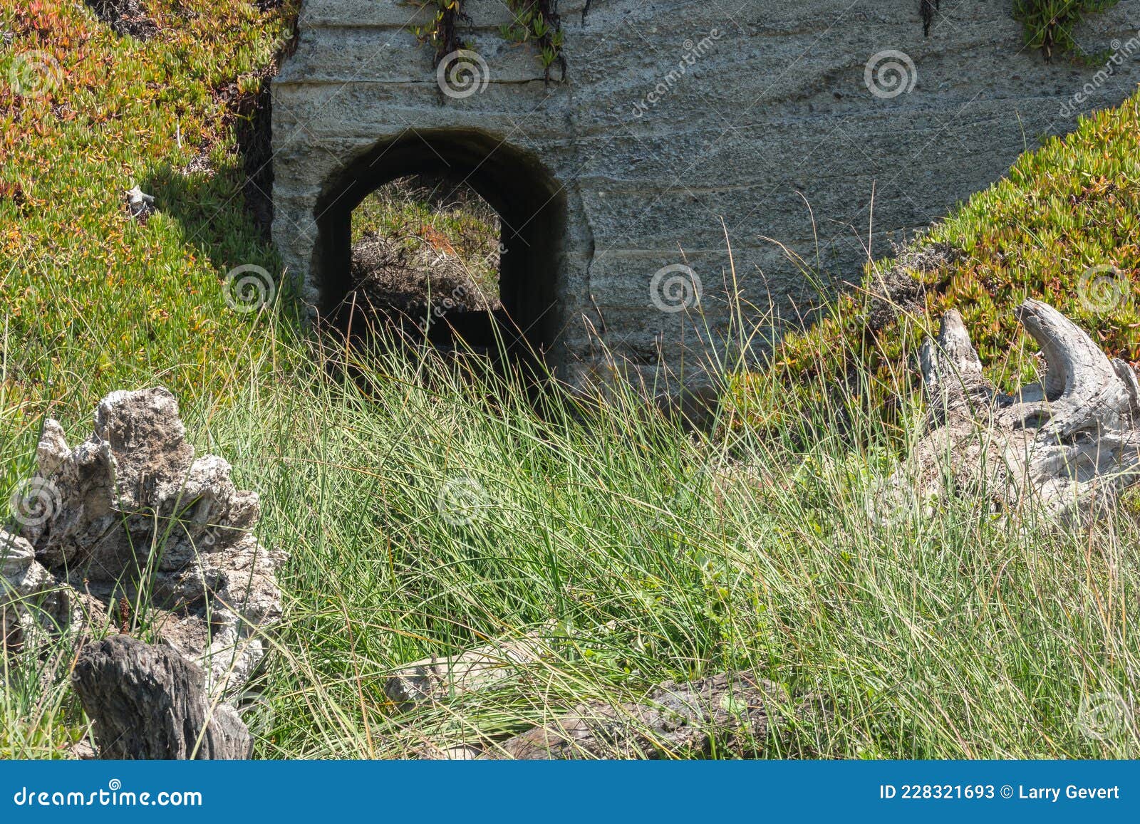 Culvert Carved through the Stone Stock Image - Image of intricate ...