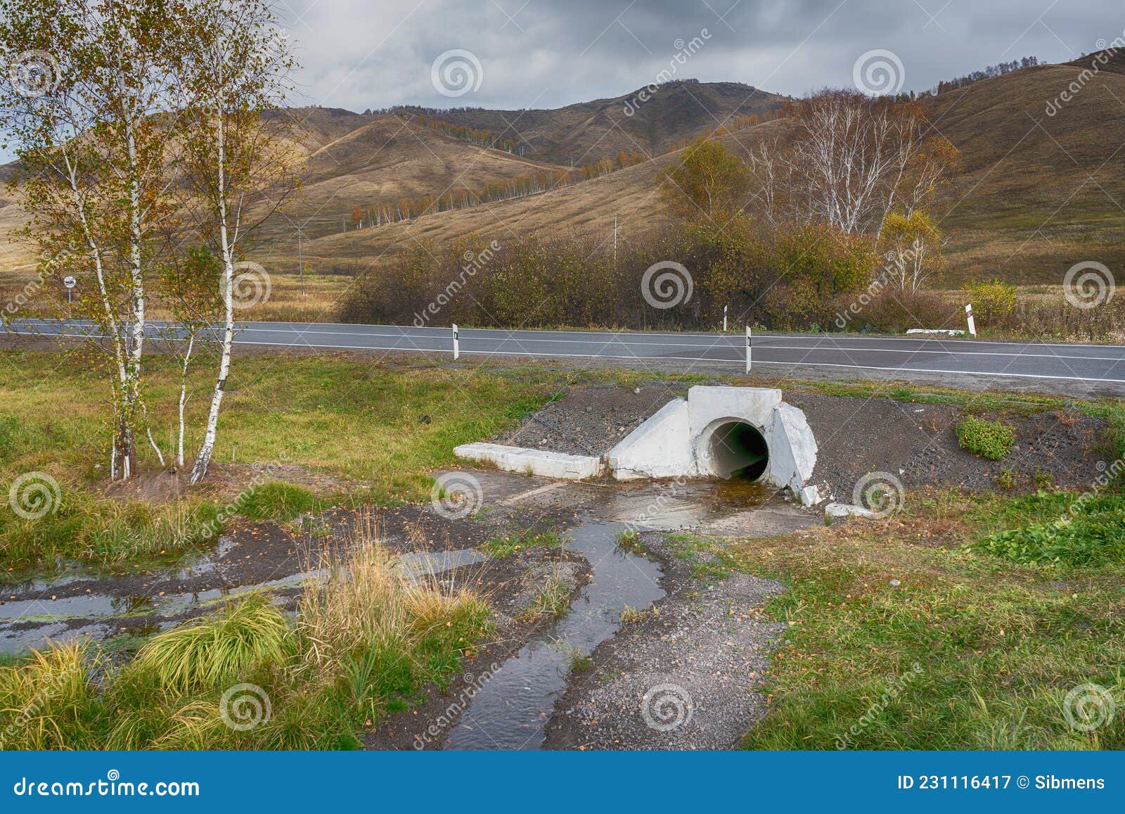 Culvert Located Under the Road. Russia Stock Image - Image of grass ...