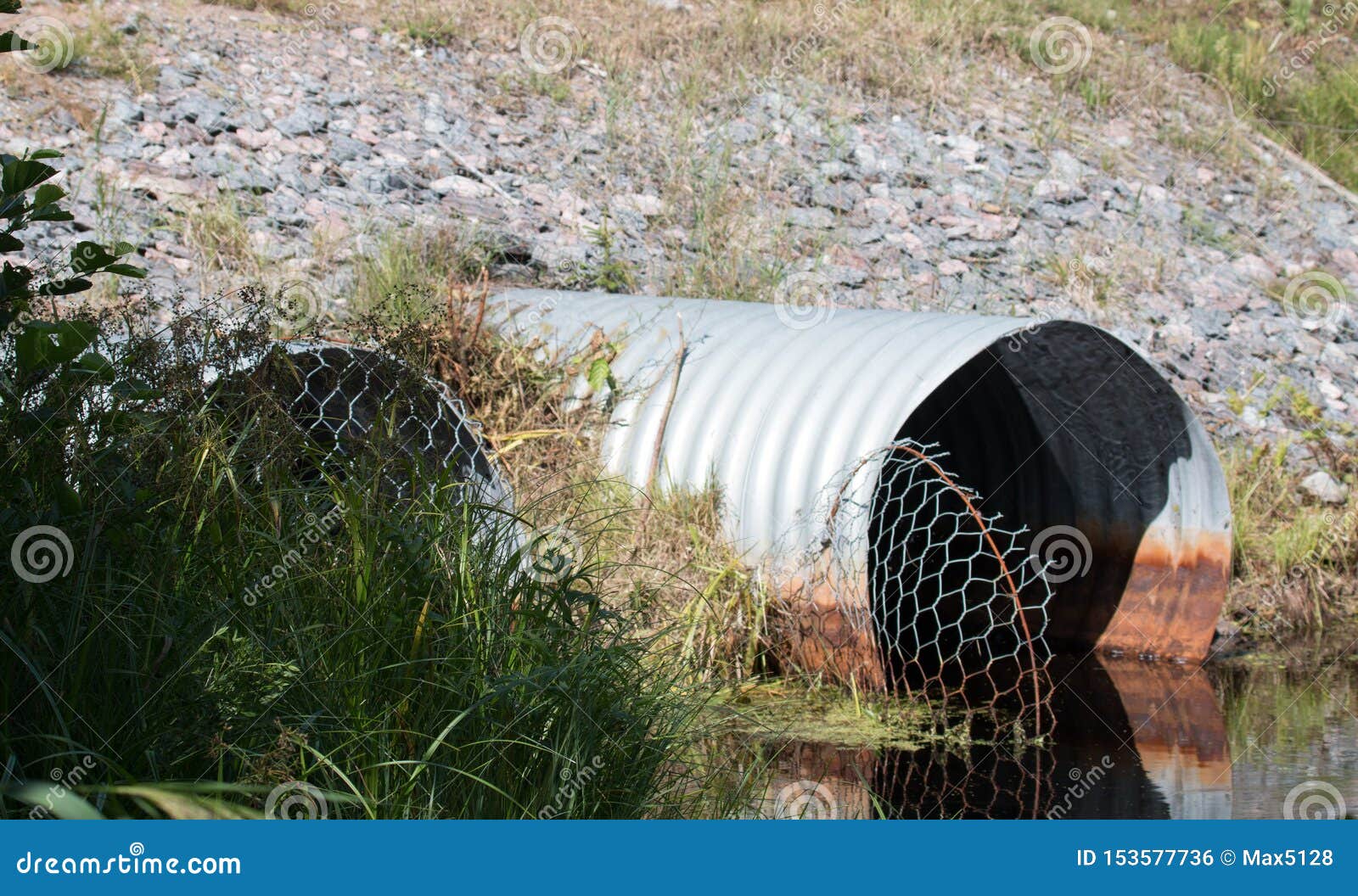 Pipe and Mesh that Recovers the Penetration of Beavers Stock Photo ...