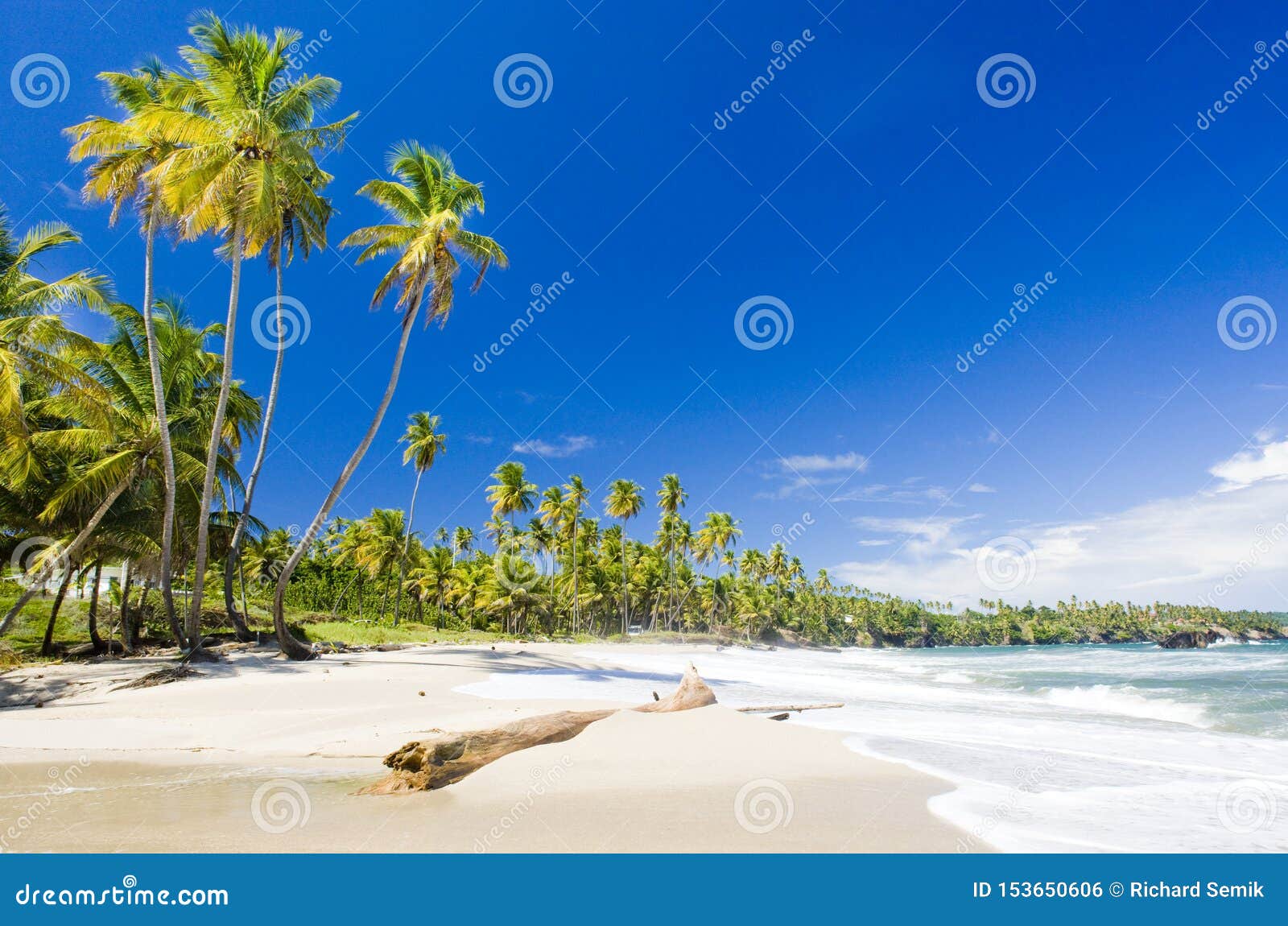 Cumana Bay, Trinidad stock photo. Image of antilles - 153650606