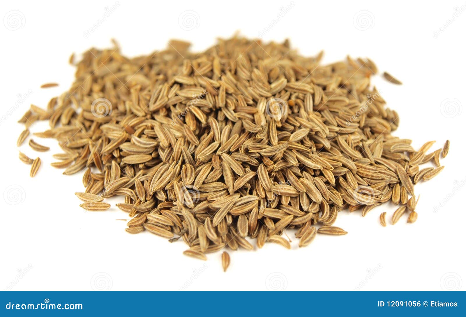 Cumin stock photo. Image of caraway, ingredient, good - 12091056