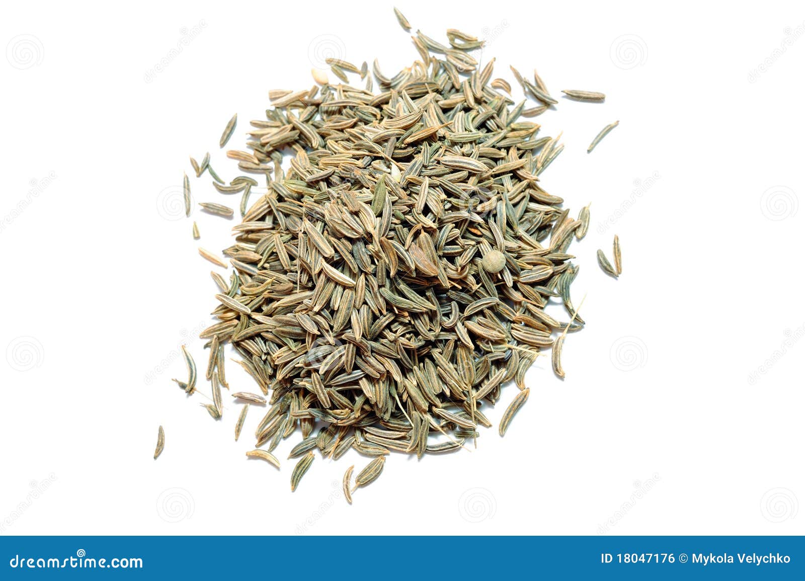 Cumin stock photo. Image of organic, culture, cumin, seasoning - 18047176