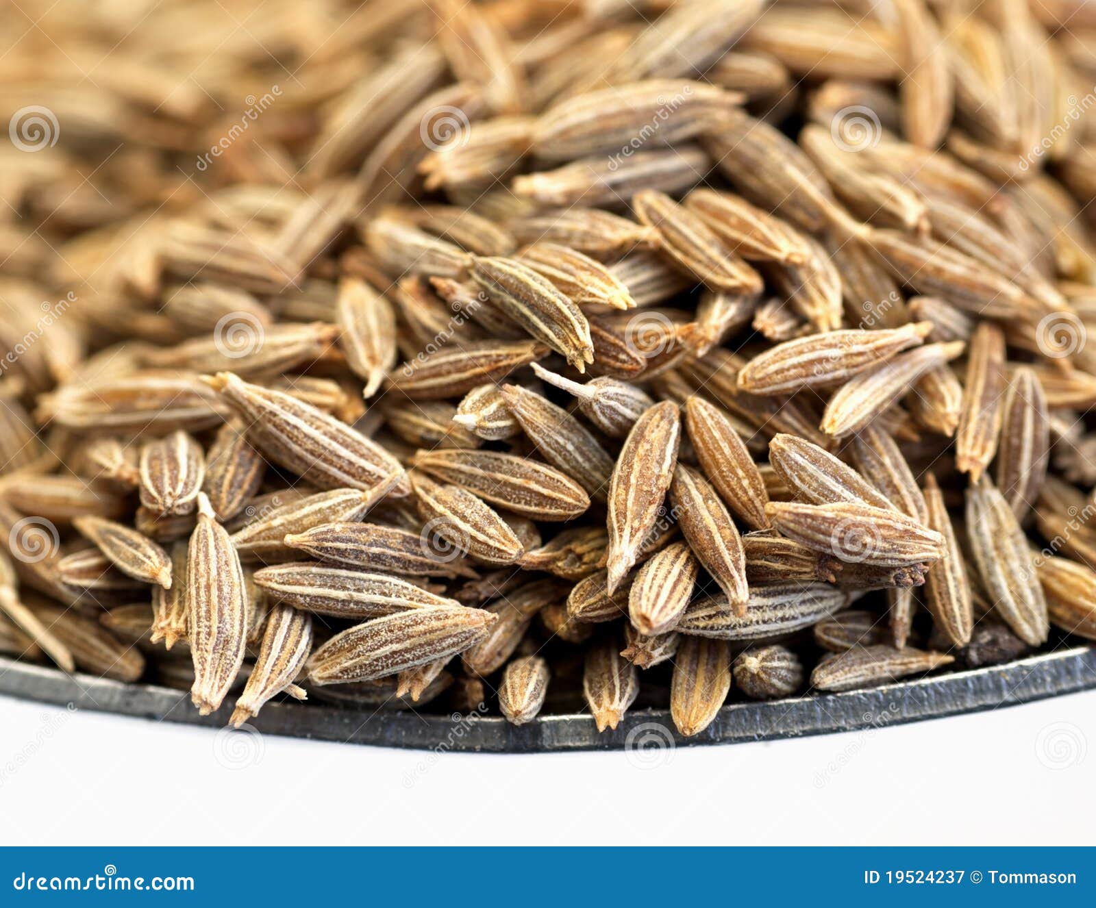 Cumin stock image. Image of dried, seed, seasoning, cumin - 19524237