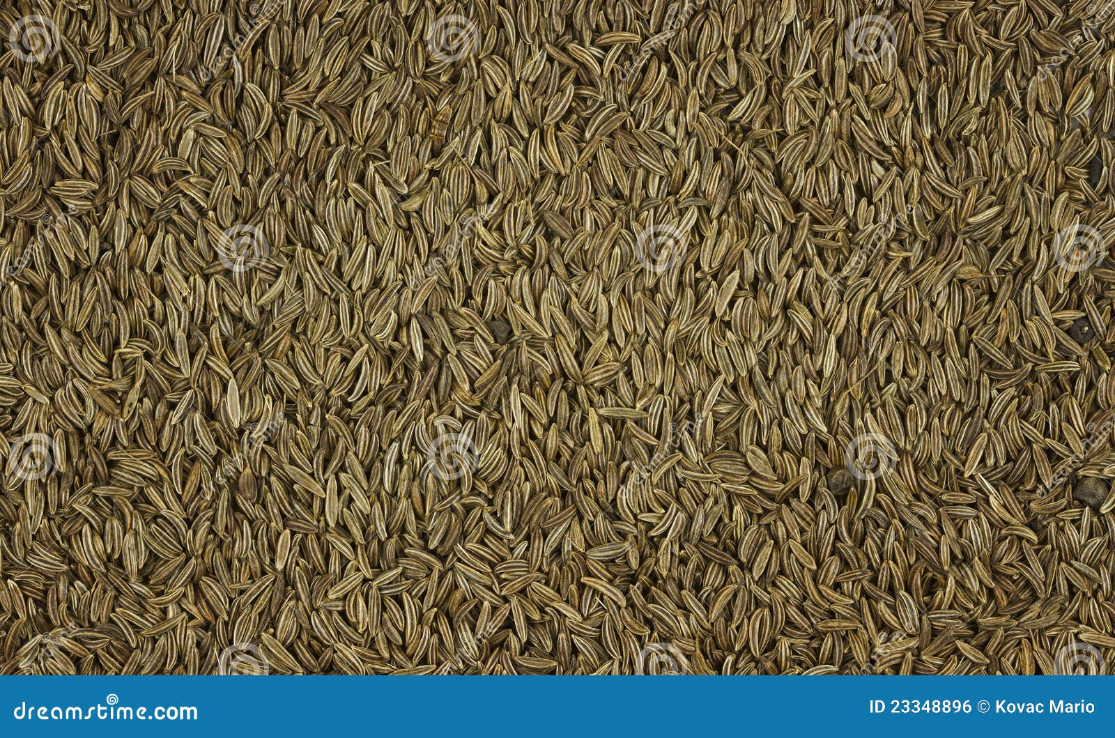 Cumin stock photo. Image of natural, indian, orange, abstract - 23348896