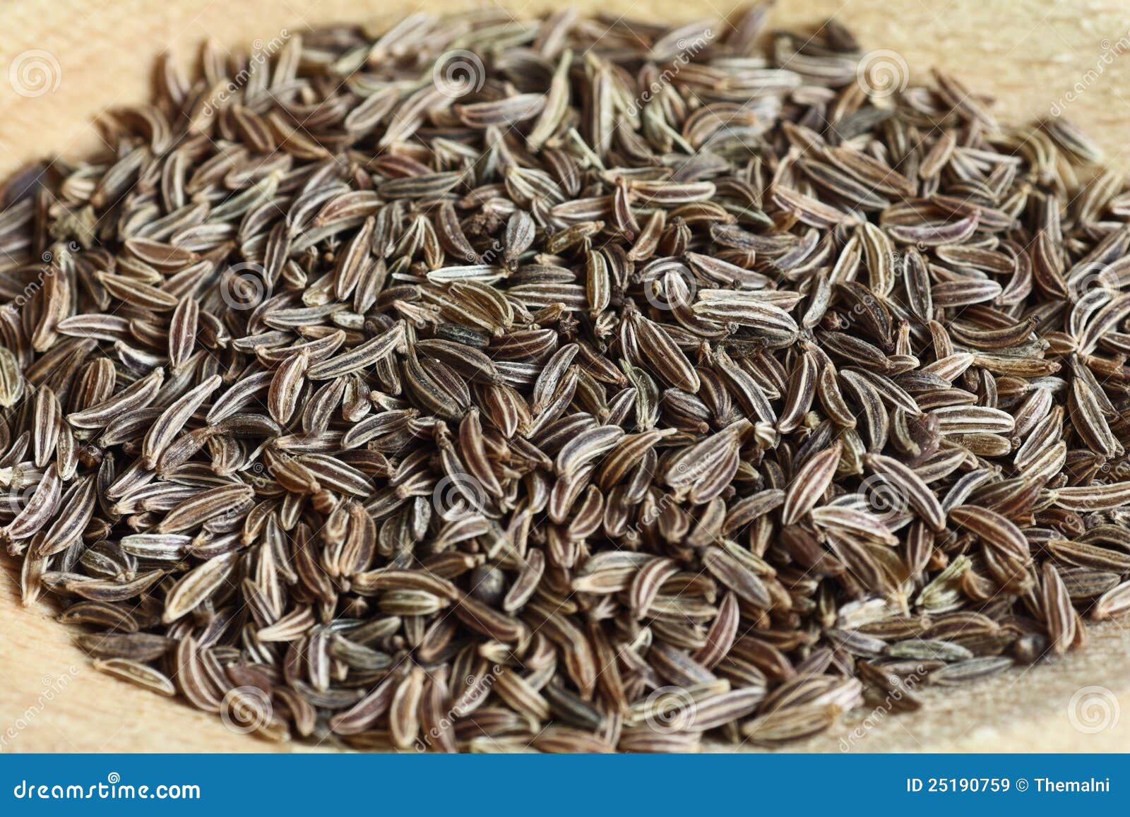 Cumin stock image. Image of plant, close, herb, dried - 25190759