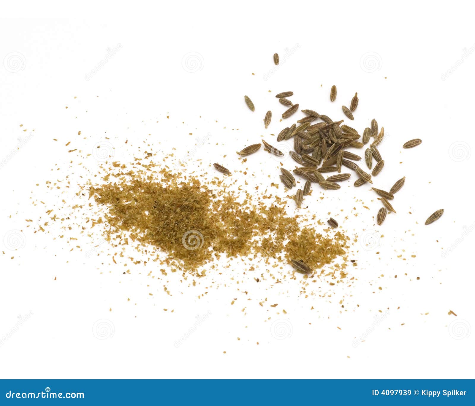 Cumin stock image. Image of flower, medicine, herb, cumin - 4097939