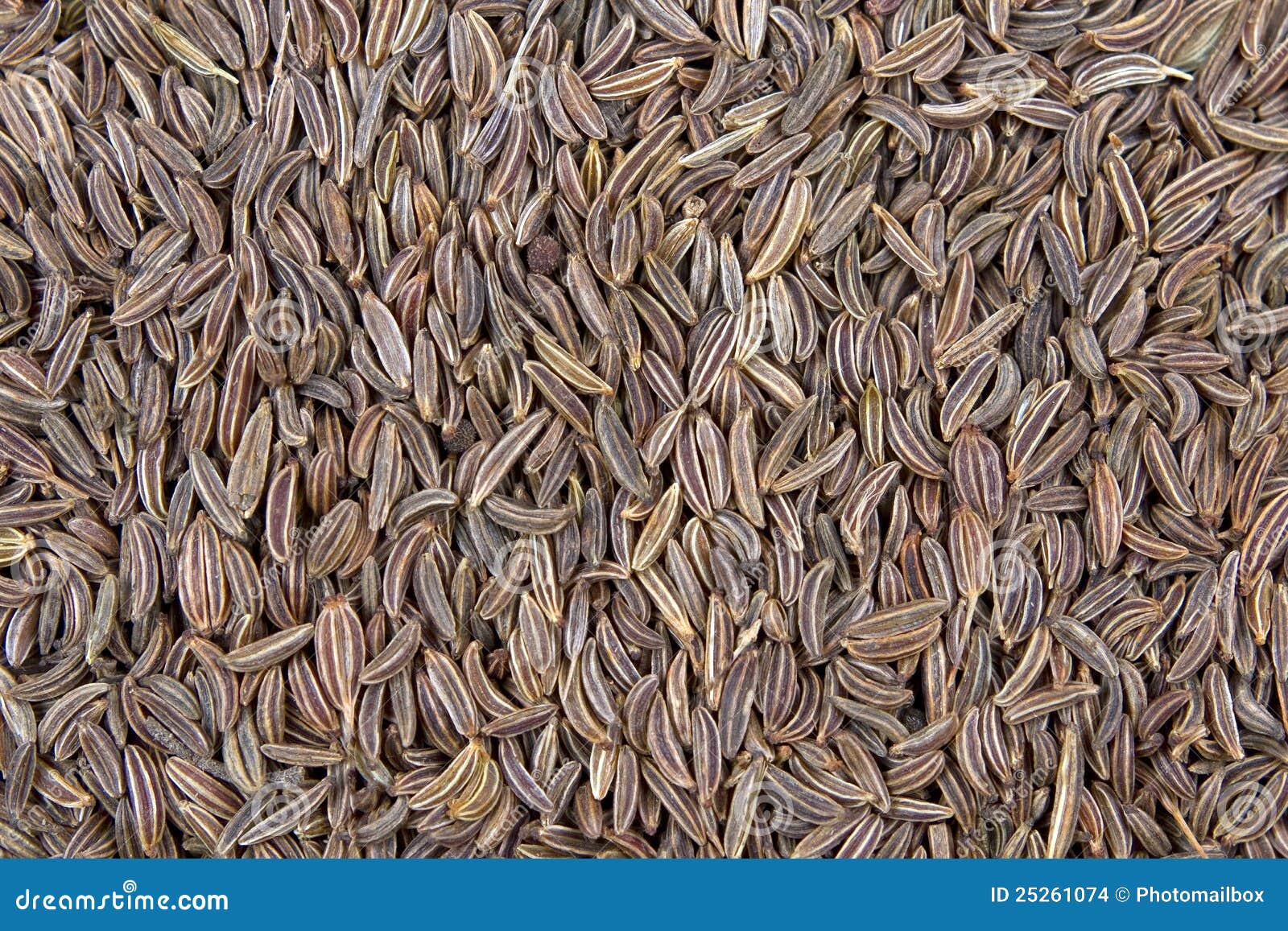 Cumin background stock photo. Image of kitchen, gourmet - 25261074