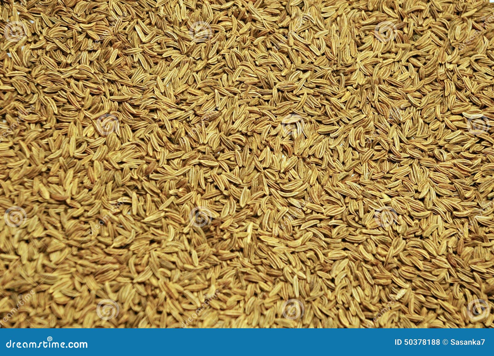 Cumin background stock photo. Image of full, abstract - 50378188