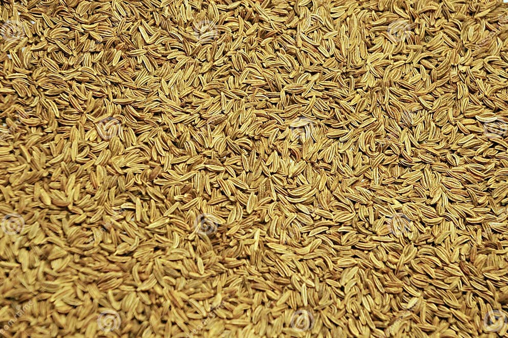 Cumin background stock photo. Image of full, abstract - 50378188