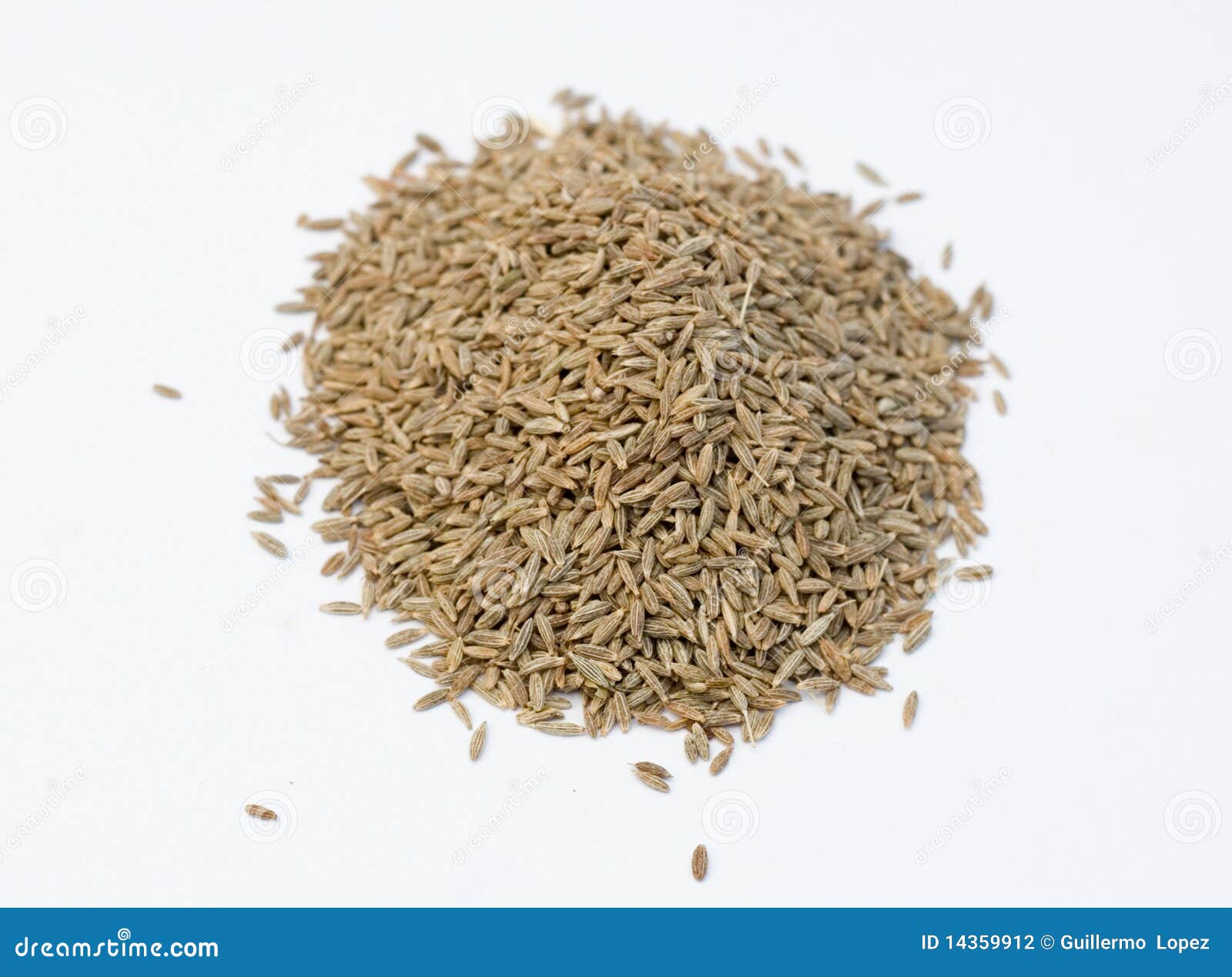 Cumin Cuminum cyminum stock photo. Image of seed, spice - 14359912