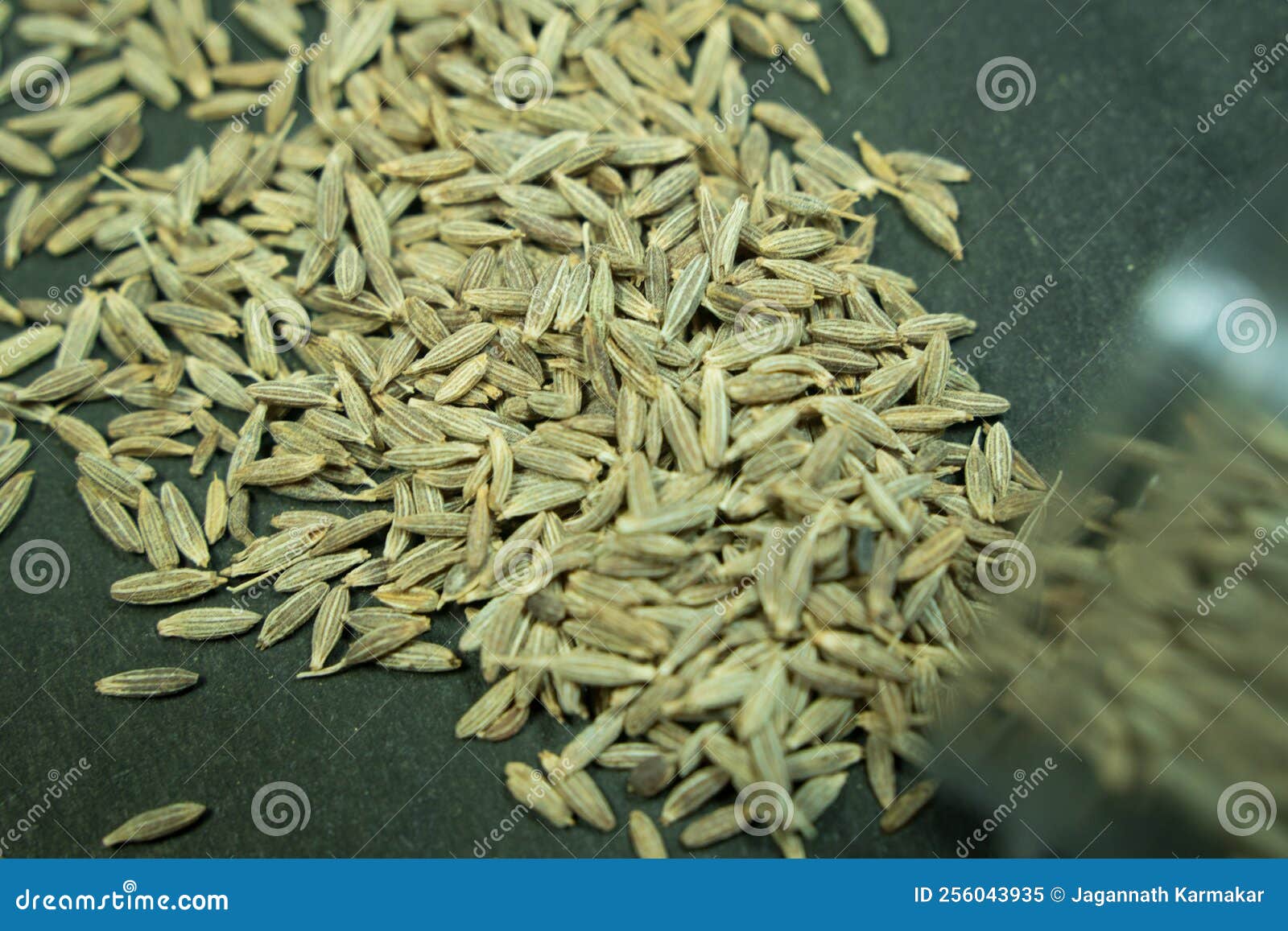 Cumin is an Essential Ingredient for Cooking. Stock Image - Image of ...