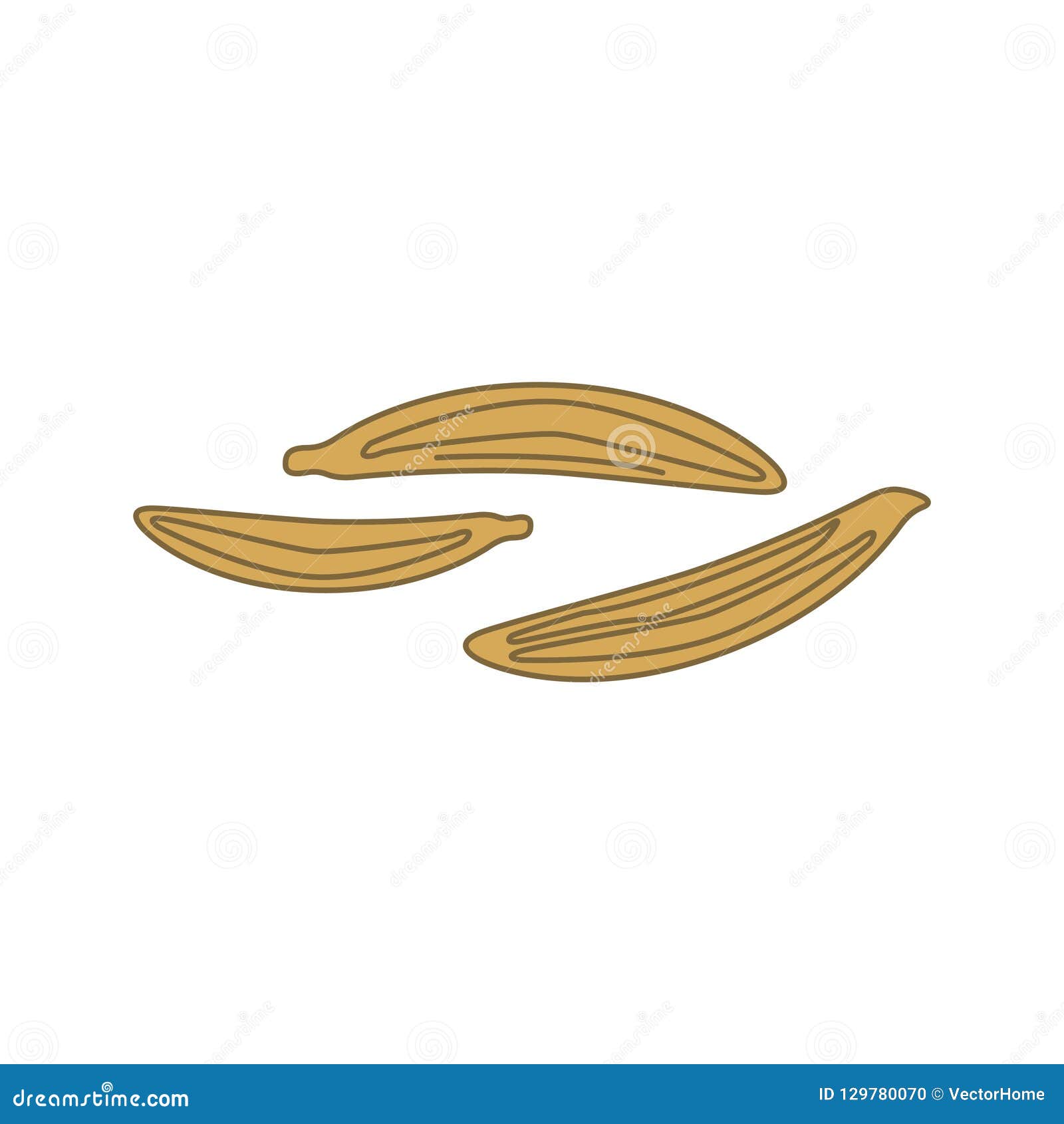 Cumin Icon, Vector Illustration Stock Vector - Illustration of natural ...