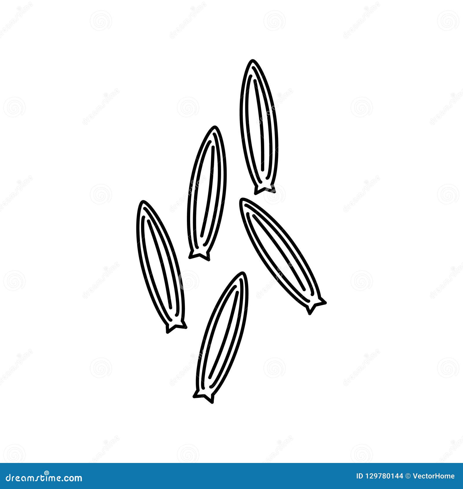 Cumin Icon, Vector Illustration Stock Vector - Illustration of organic ...