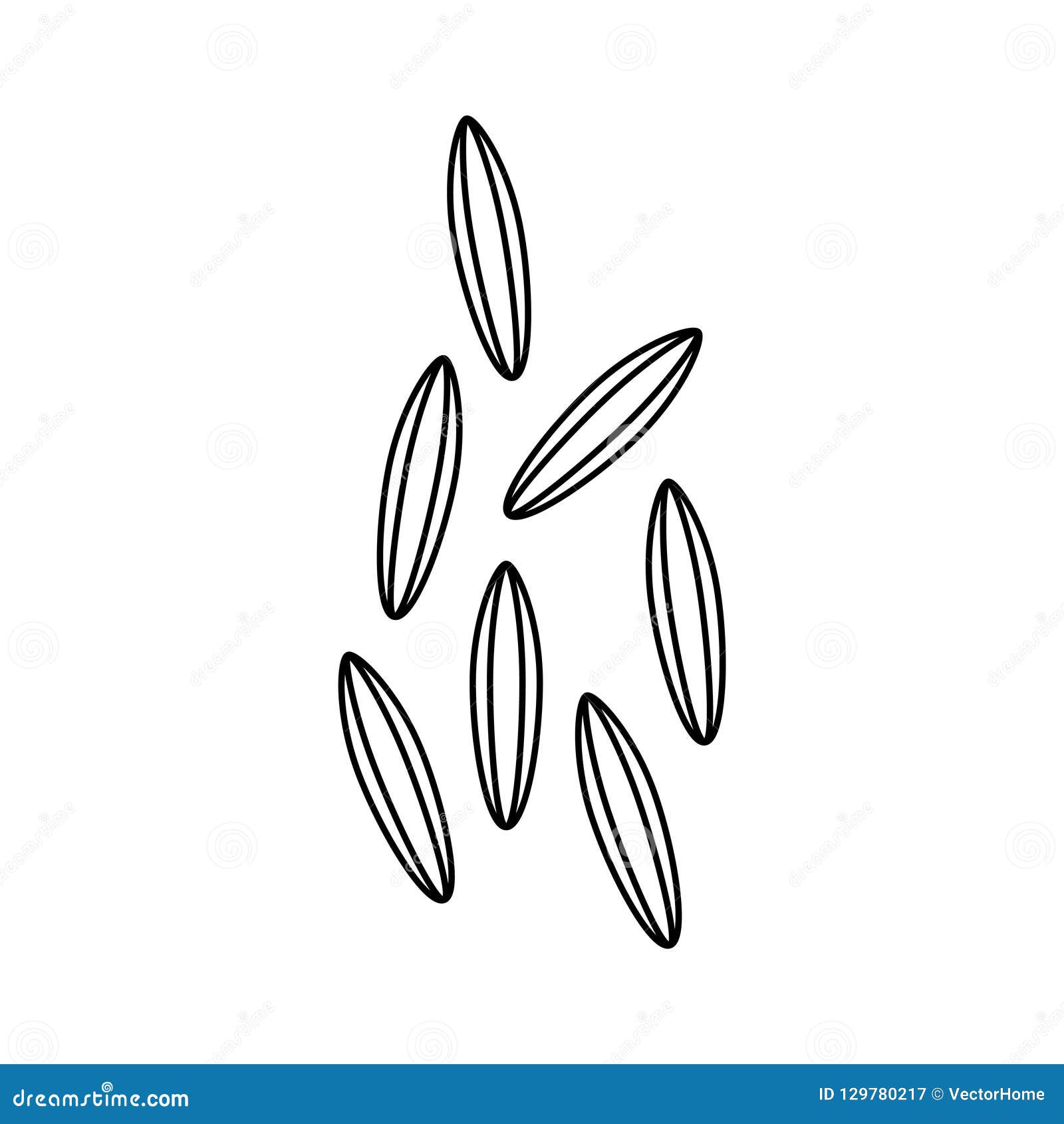 Cumin Icon, Vector Illustration Stock Vector - Illustration of organic ...