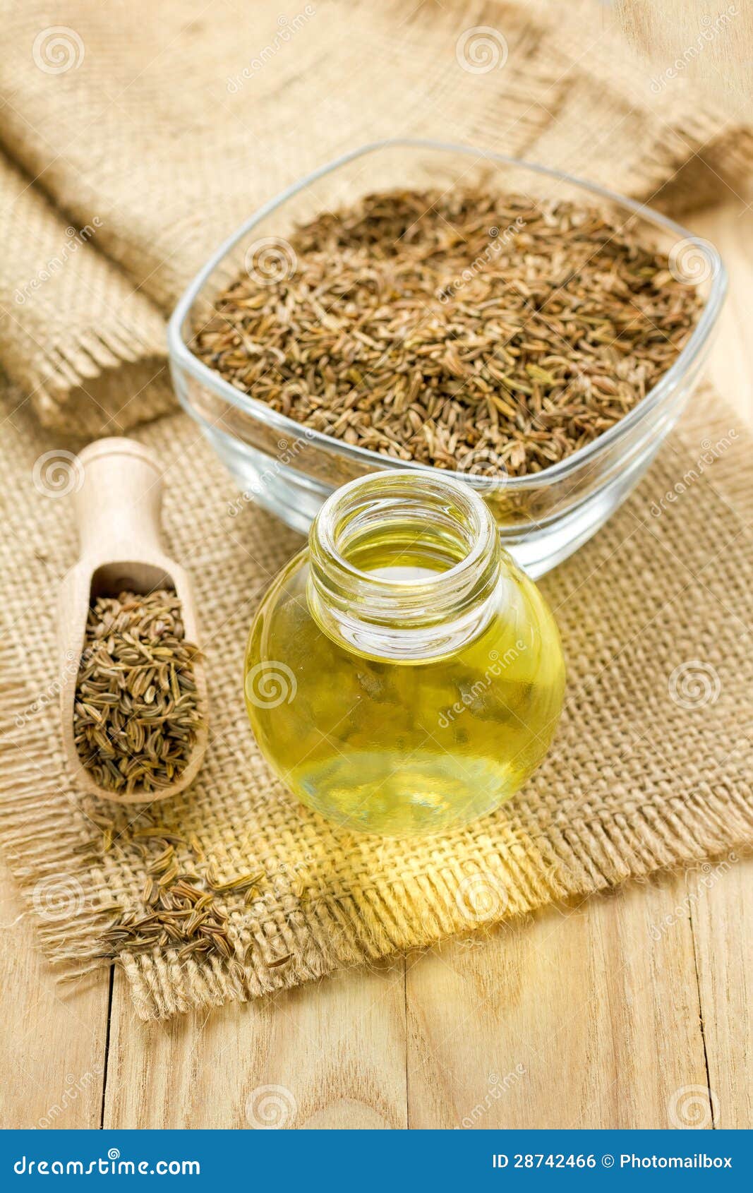 Cumin oil stock photo. Image of cooking, gourmet, group - 28742466