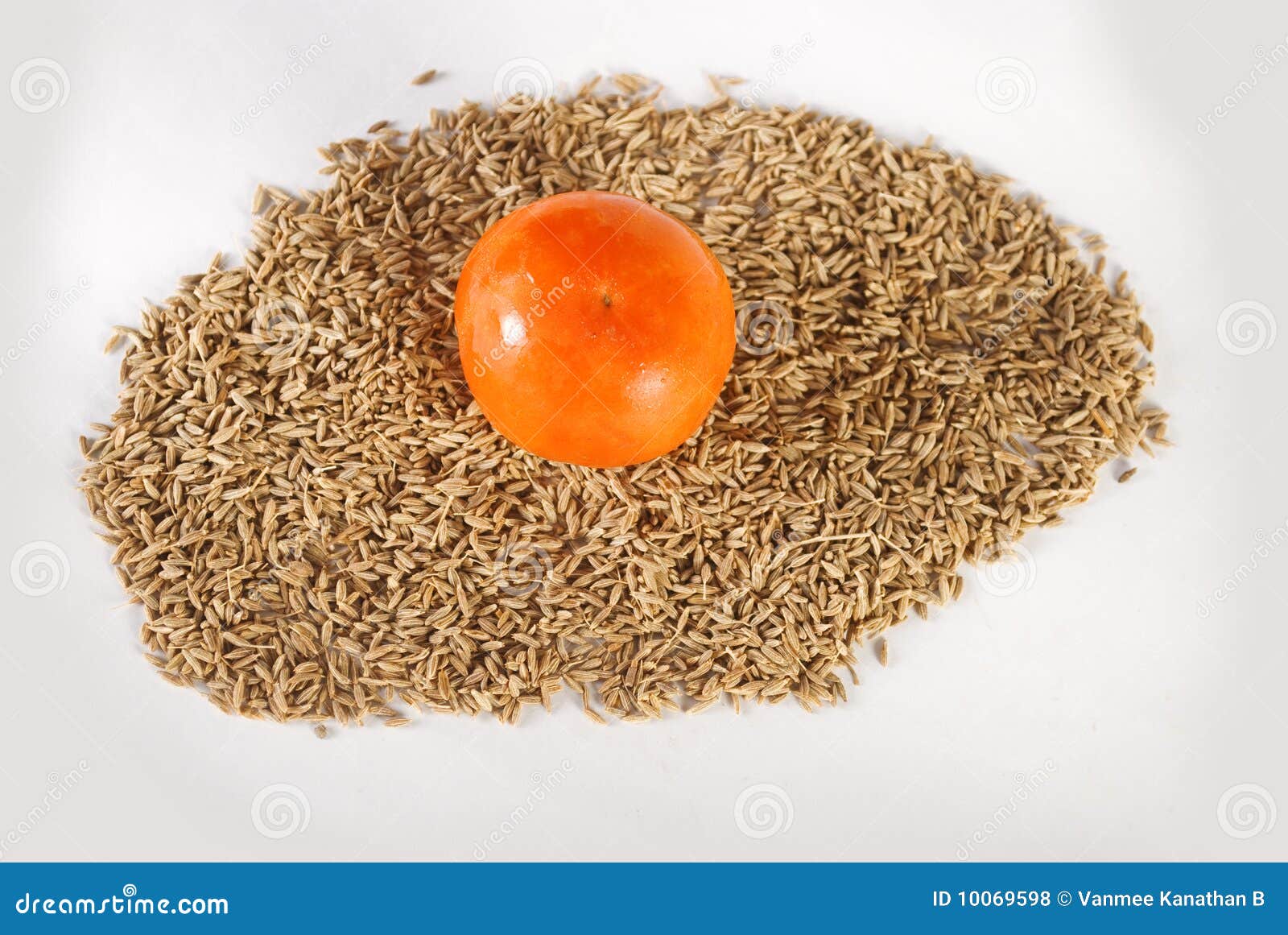 Cumin seeds stock photo. Image of light, single, heap - 10069598