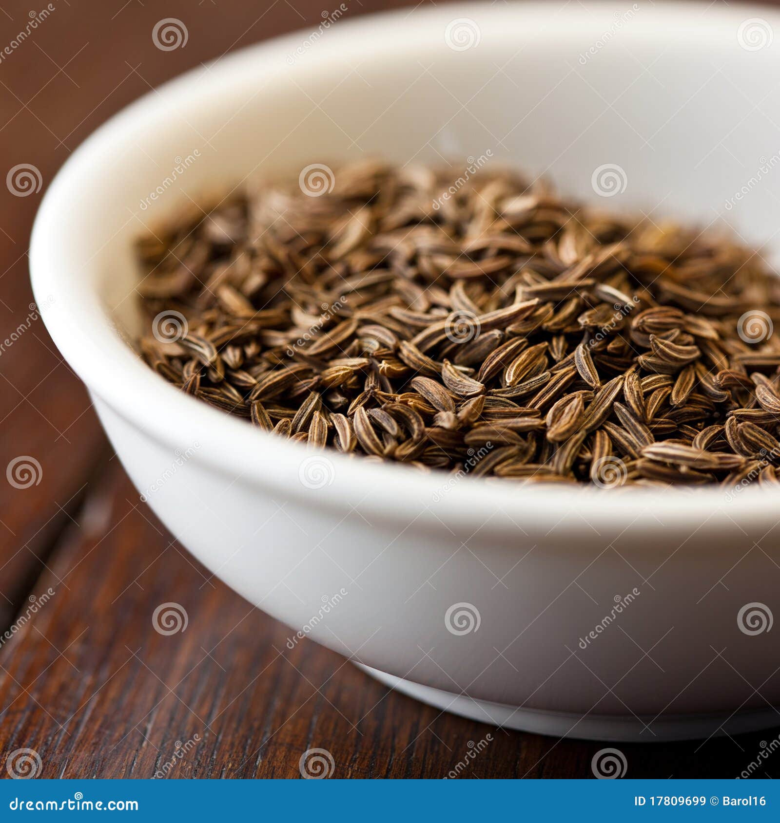 CUMIN Seeds Plant Jeera Tree Jira Farm Jeera Biz Fluffy Volume Bush Of ...