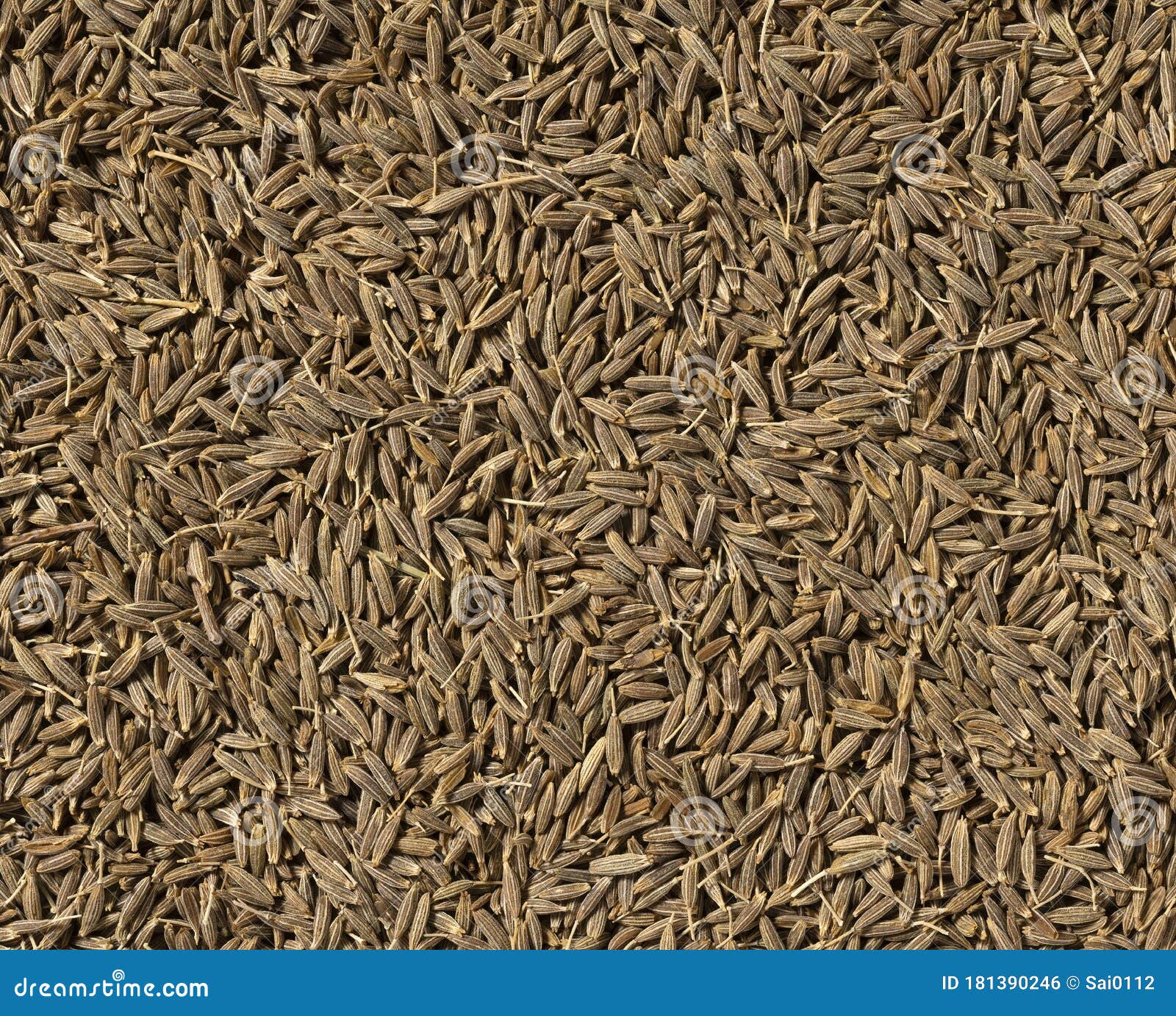 Cumin Seeds As a Background. or Texture Stock Photo - Image of grain ...