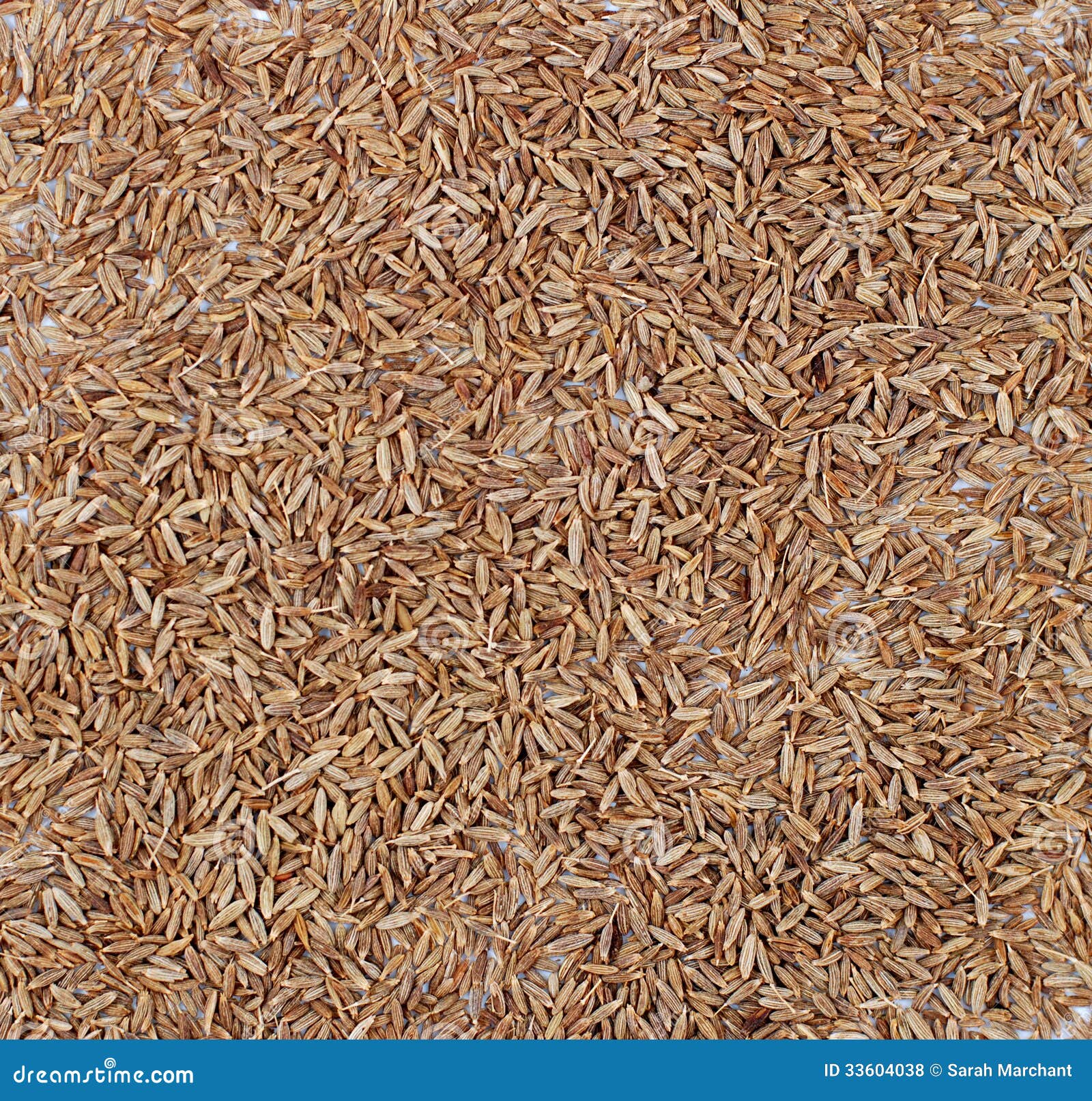 Cumin seeds background stock photo. Image of edible, culinary - 33604038