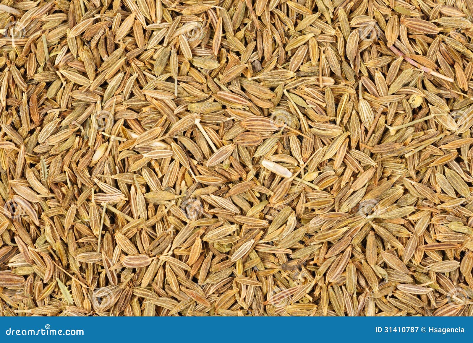 Cumin seeds stock image. Image of food, macro, appetizing - 31410787