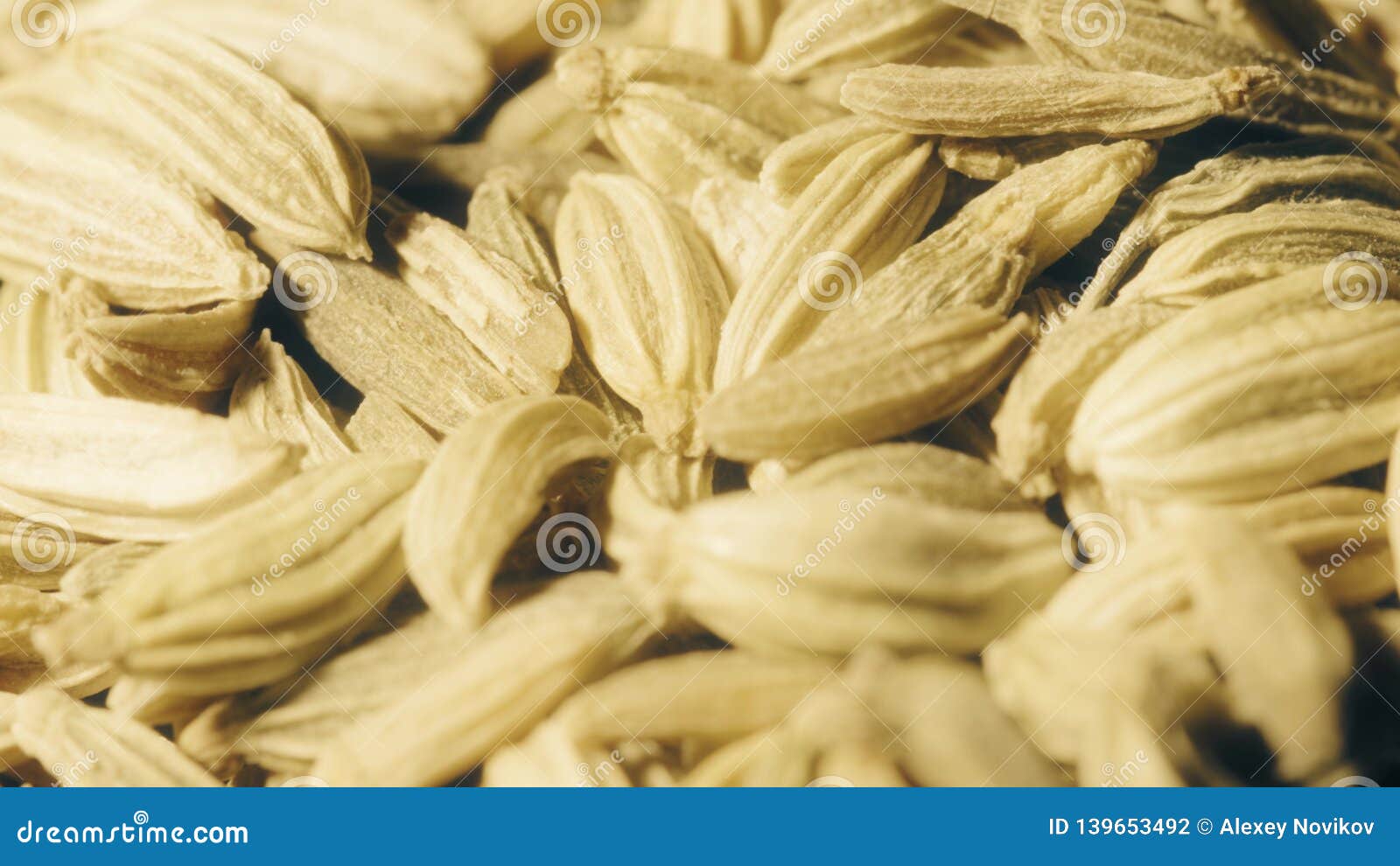 Cumin Seeds Extreme Macro Shot Stock Photo - Image of dressing, cumin ...