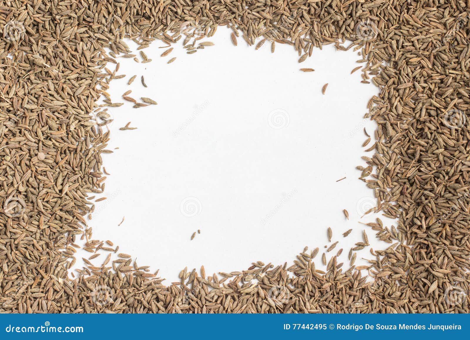 Cumin Seeds Frame stock image. Image of ingredient, pile - 77442495