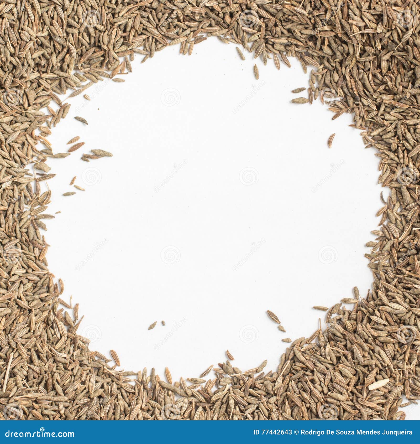 Cumin Seeds Frame stock image. Image of cook, seeds, aroma - 77442643