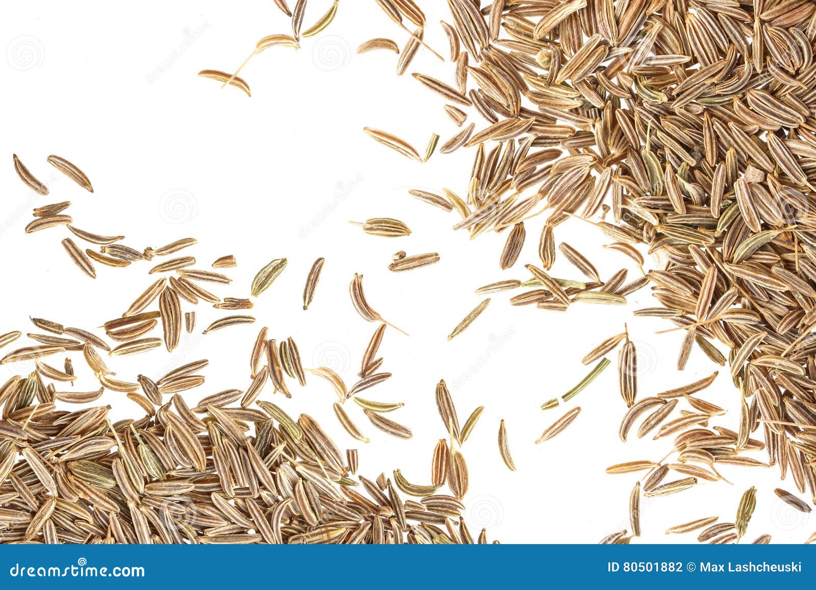 Cumin Seeds Isolated on White Background Stock Photo - Image of ...