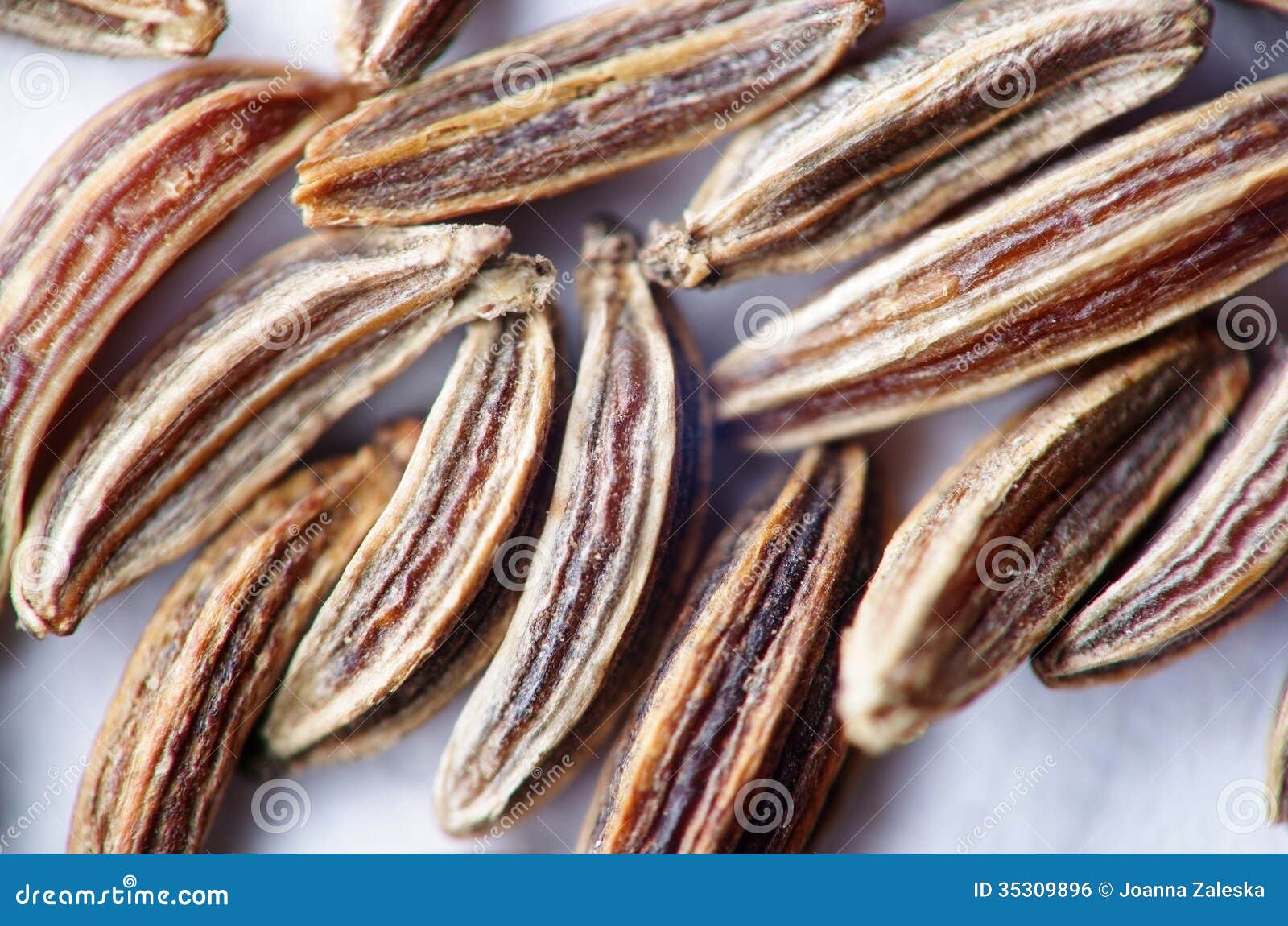 Cumin Seeds Reverse Lens Extreme Macro Stock Photo - Image of close ...